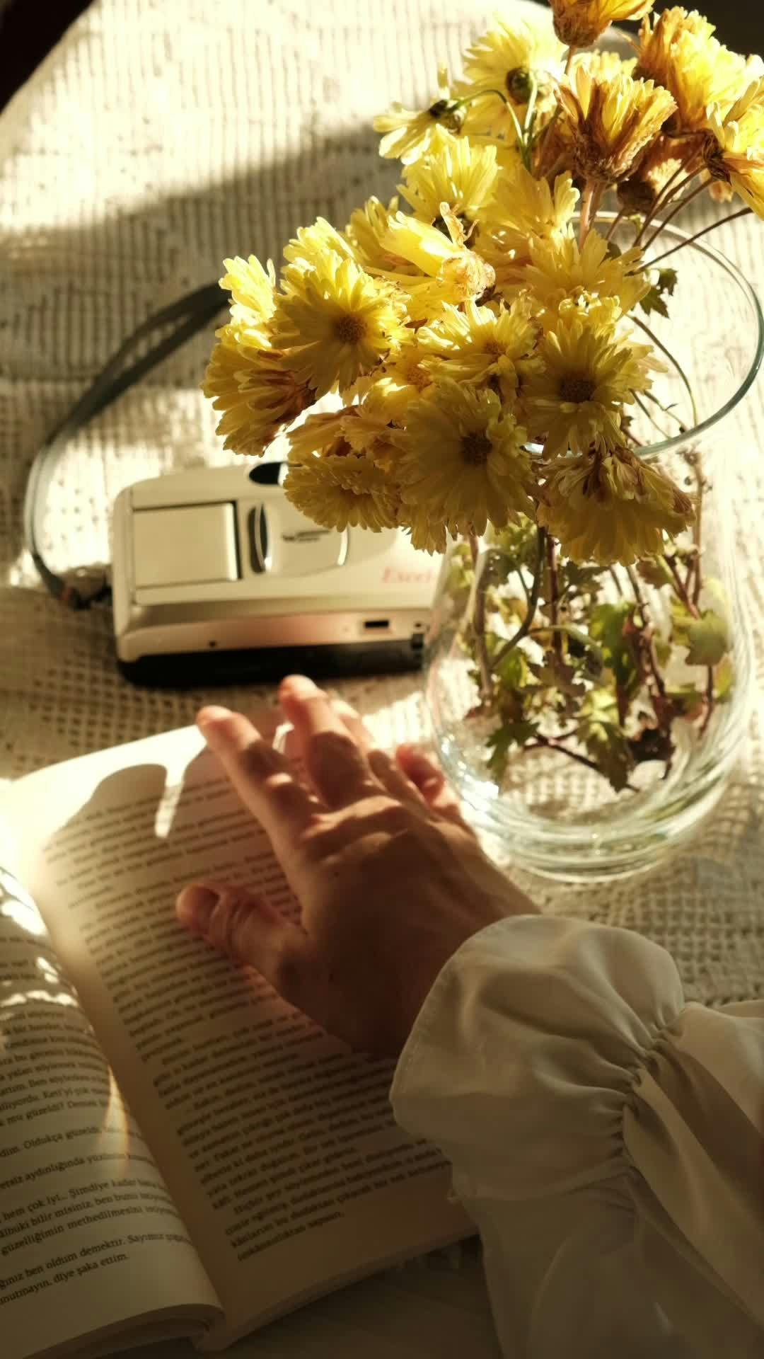 Kissing+And+Touching Videos, Download The BEST Free 4k Stock Video ...