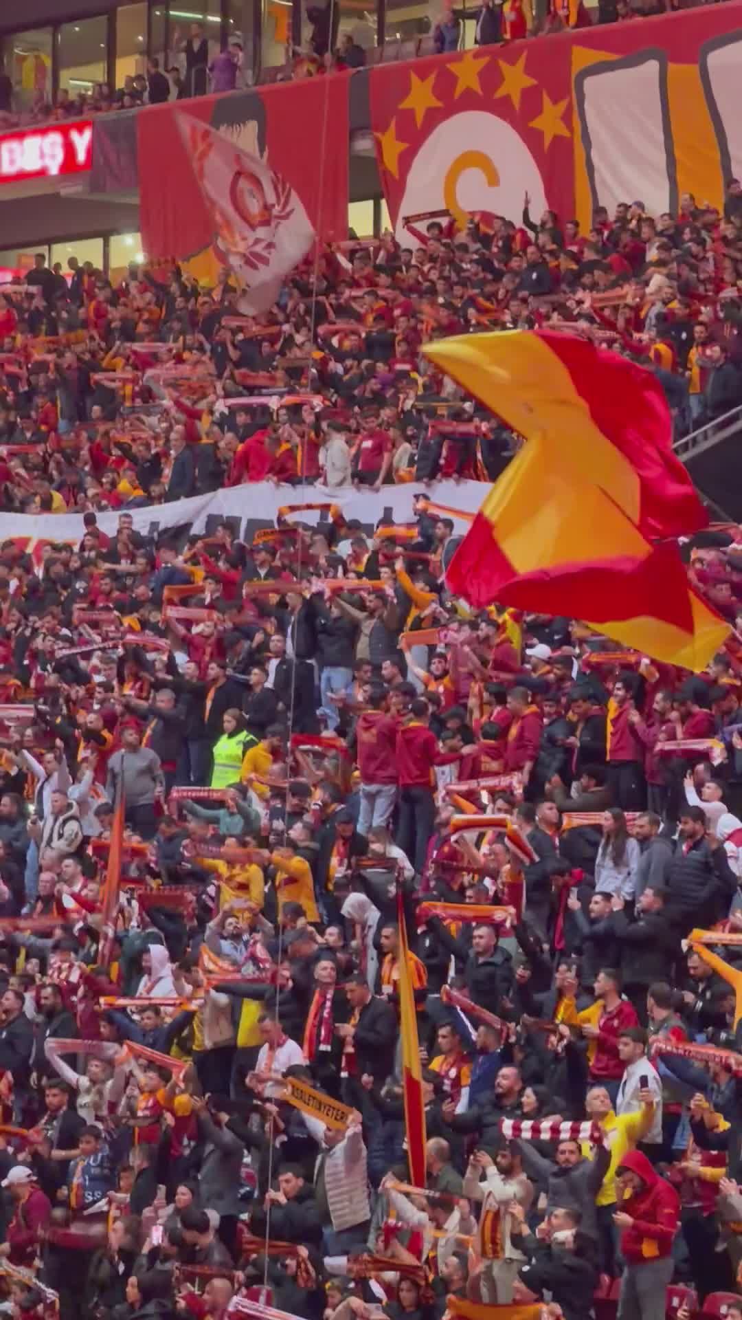 Vibrant Football Crowd Cheering with Flags Free Stock Video Footage ...