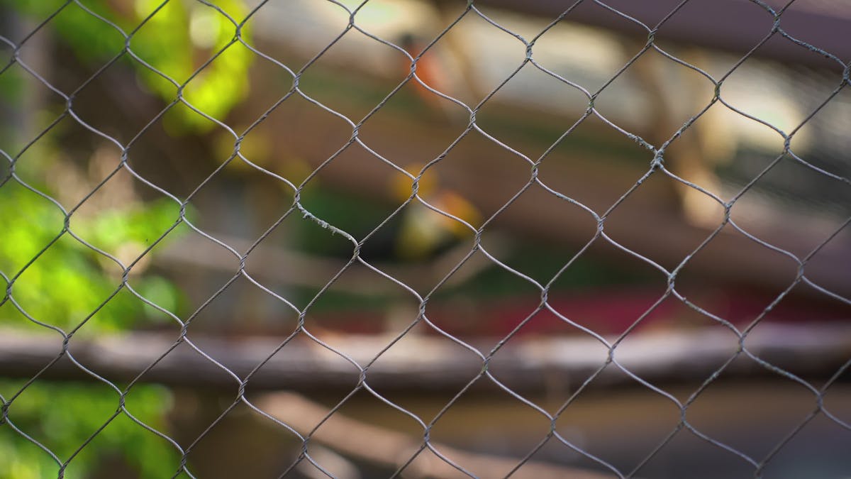 Xxxxxxxxx+Hd Videos, Download The BEST Free 4k Stock Video Footage ...