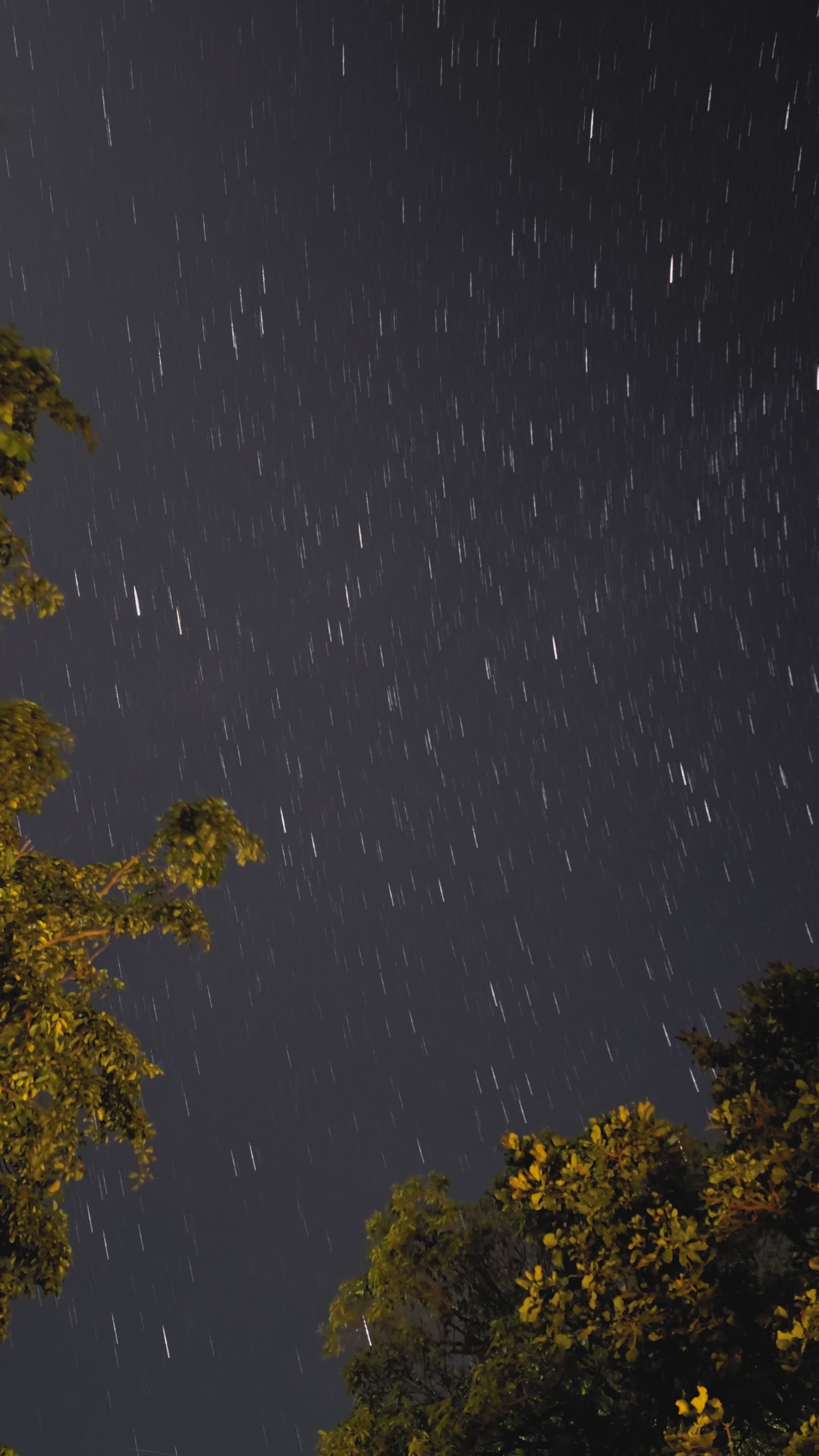 Starry Night Sky Timelapse with Trees Free Stock Video Footage, Royalty ...