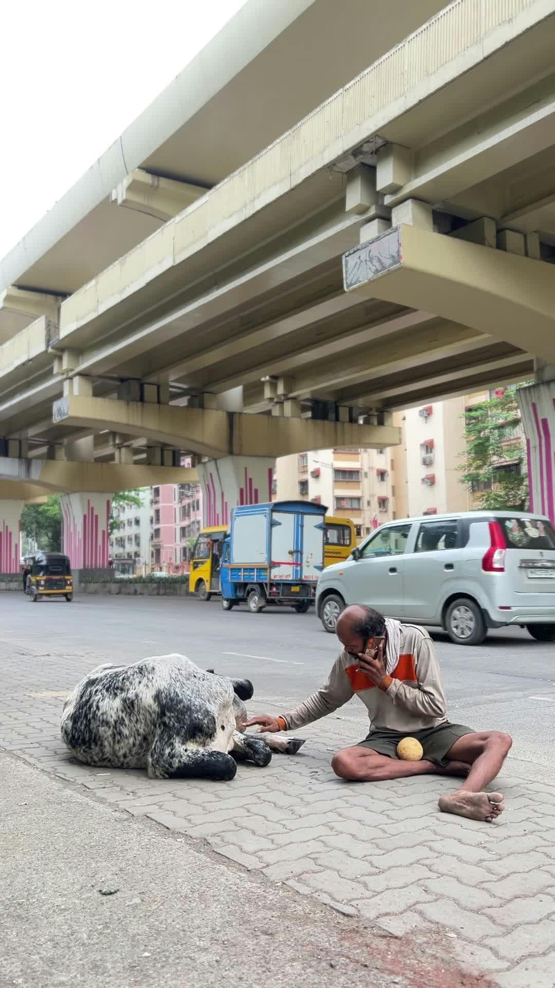 Indian Gf Bf Videos, Download The BEST Free 4k Stock Video Footage ...