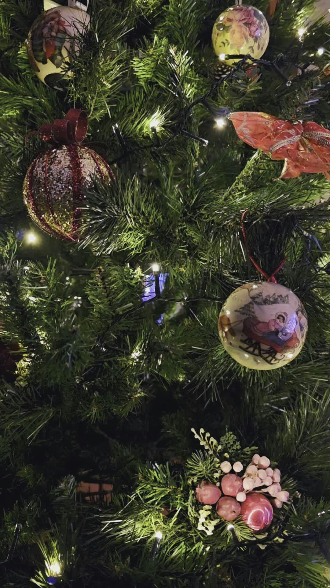 Pulsating+Closeup+Oral+Cim Videos, Download The BEST Free 4k Stock ...