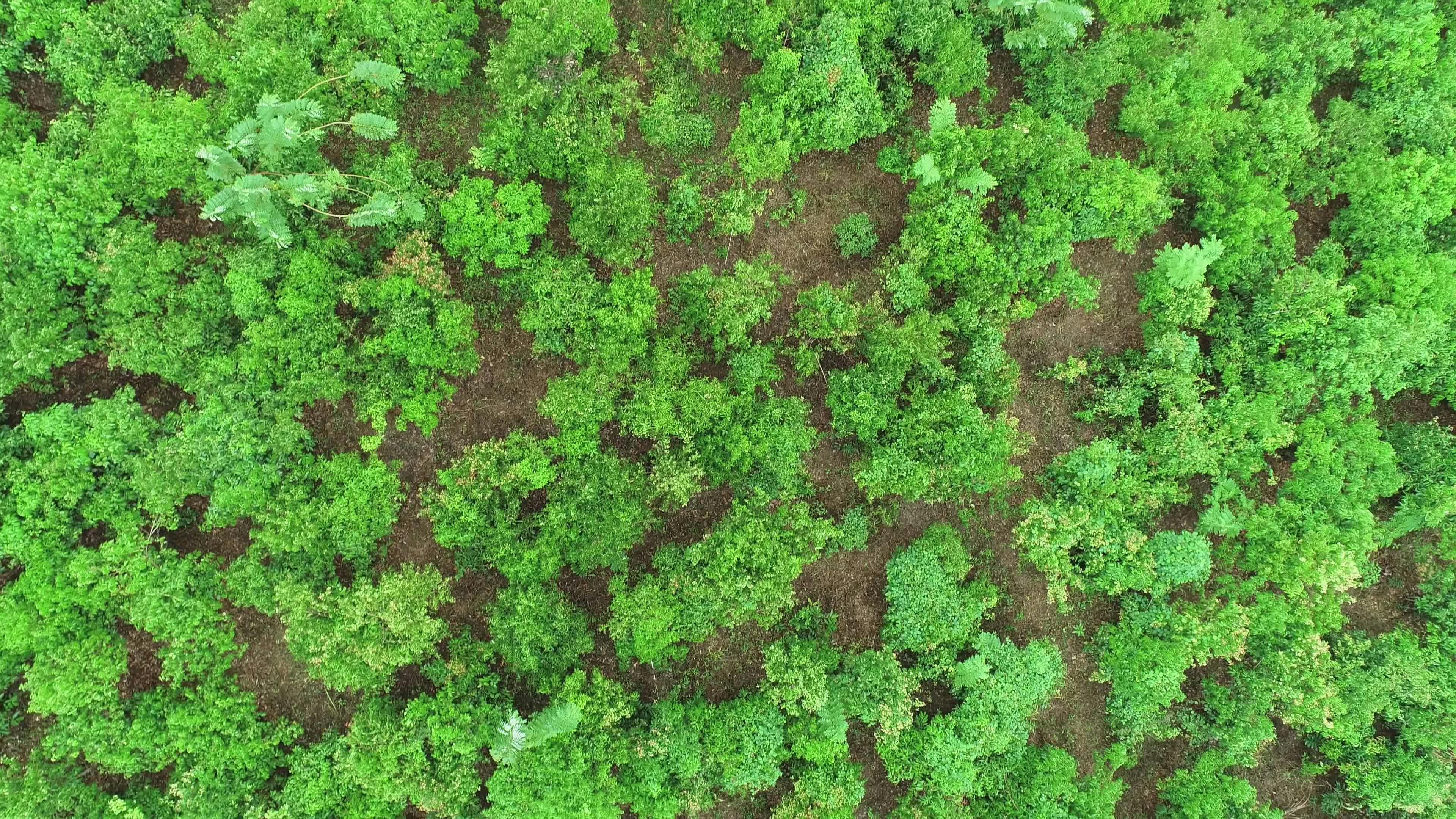 16k Footage Videos, Download The BEST Free 4k Stock Video Footage & 16k ...