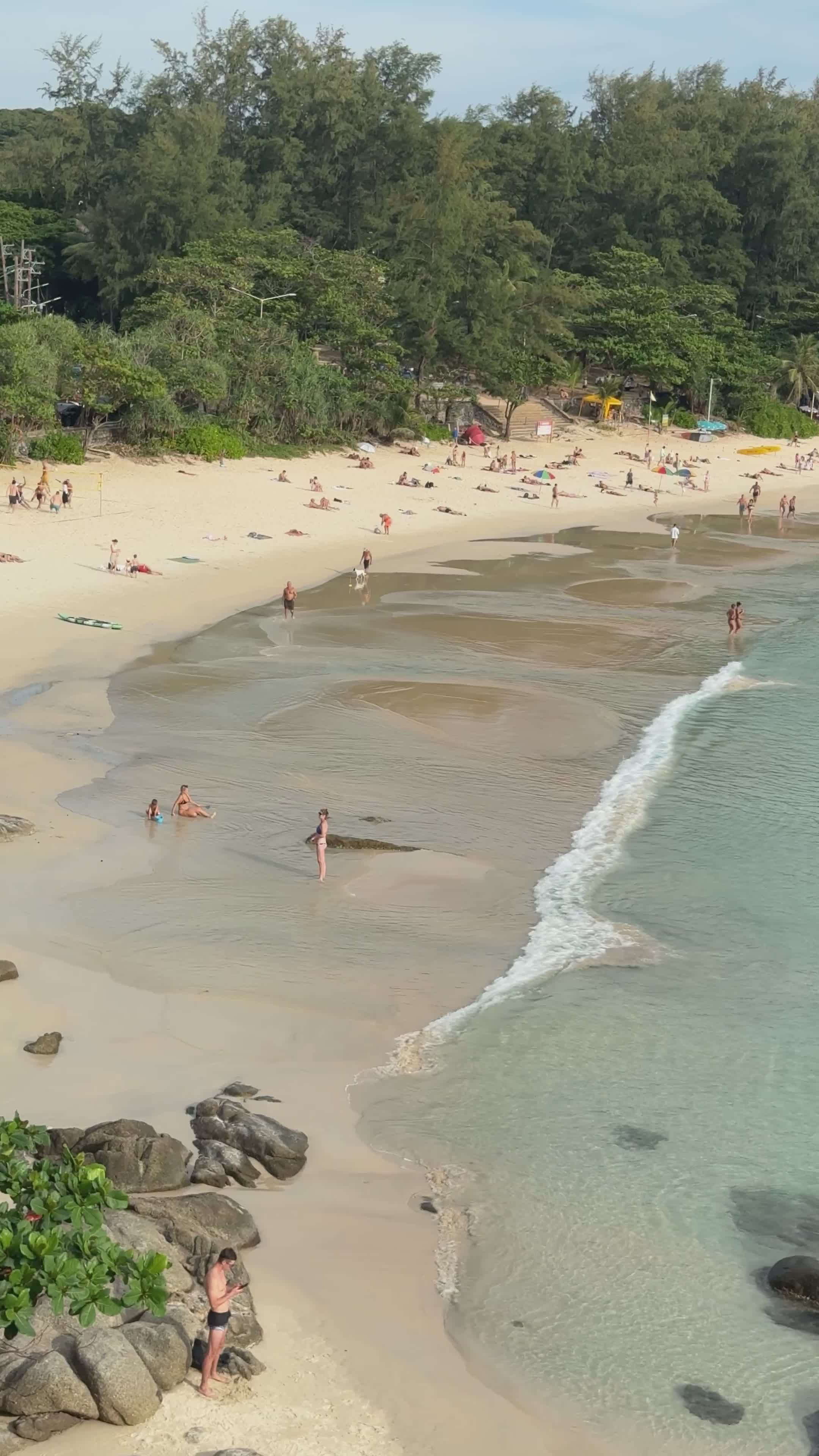 Oasis Bunga Videos, Download The BEST Free 4k Stock Video Footage ...