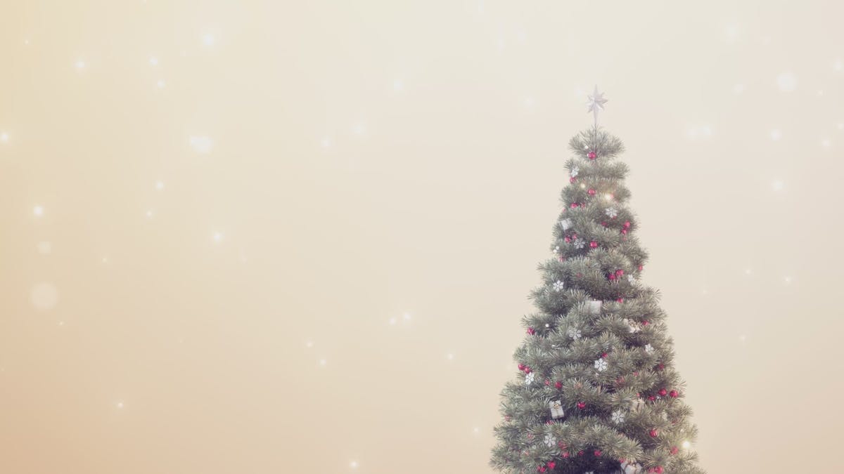 Christmas Animation Videos, Download The BEST Free 4k Stock Video ...