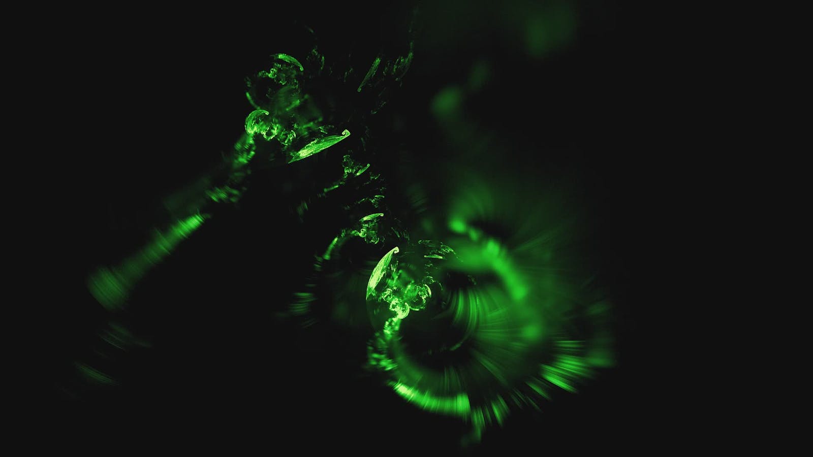 Lyrics Background Videos, Download The BEST Free 4k Stock Video Footage ...