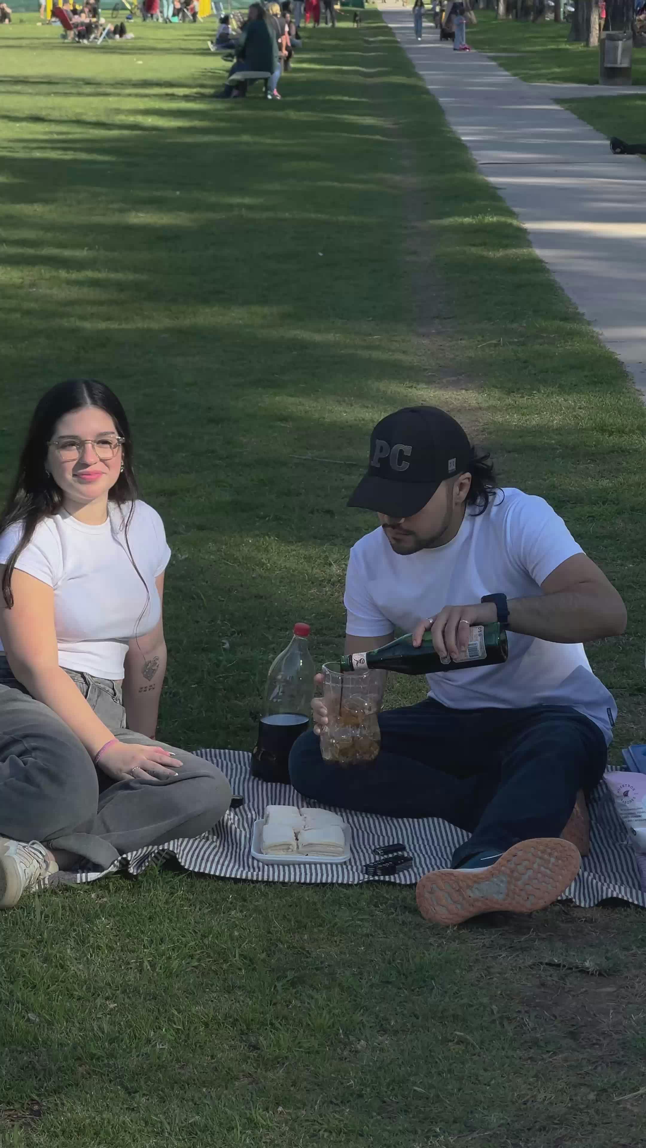 Los mejores 80.000+ vídeos de Dogs Playing In Park · Banco de Imágenes ...