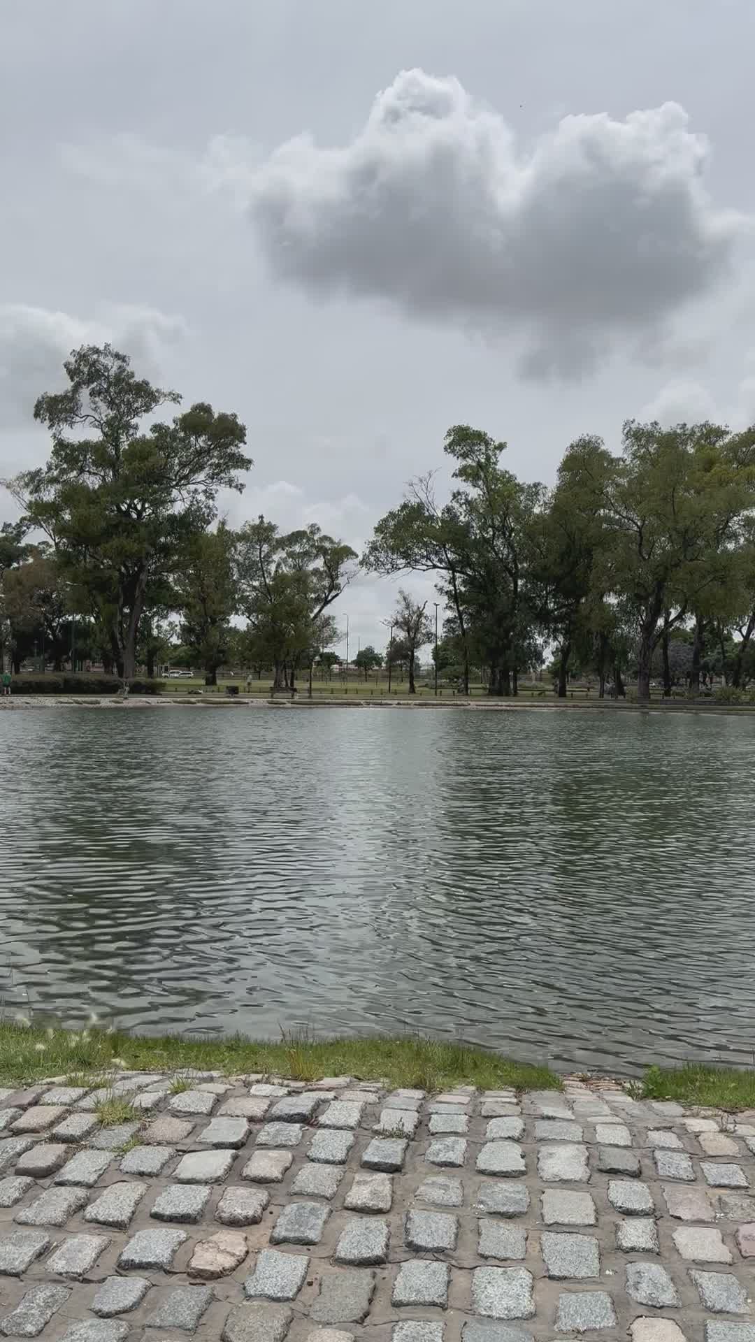 Nature Scene Videos, Download The BEST Free 4k Stock Video Footage ...