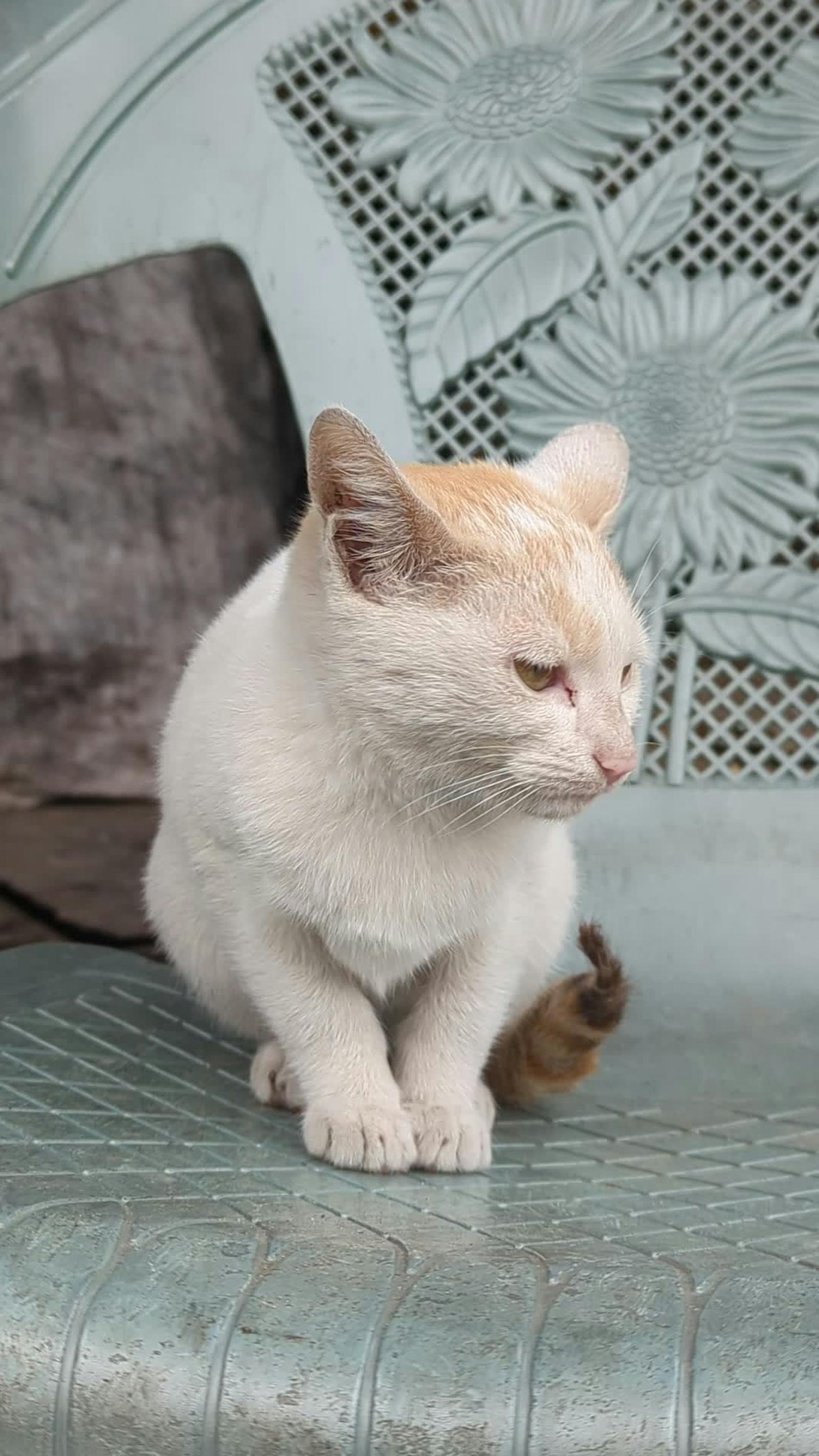 Free No Copyright Animation Videos, Download The BEST Free 4k Stock ...