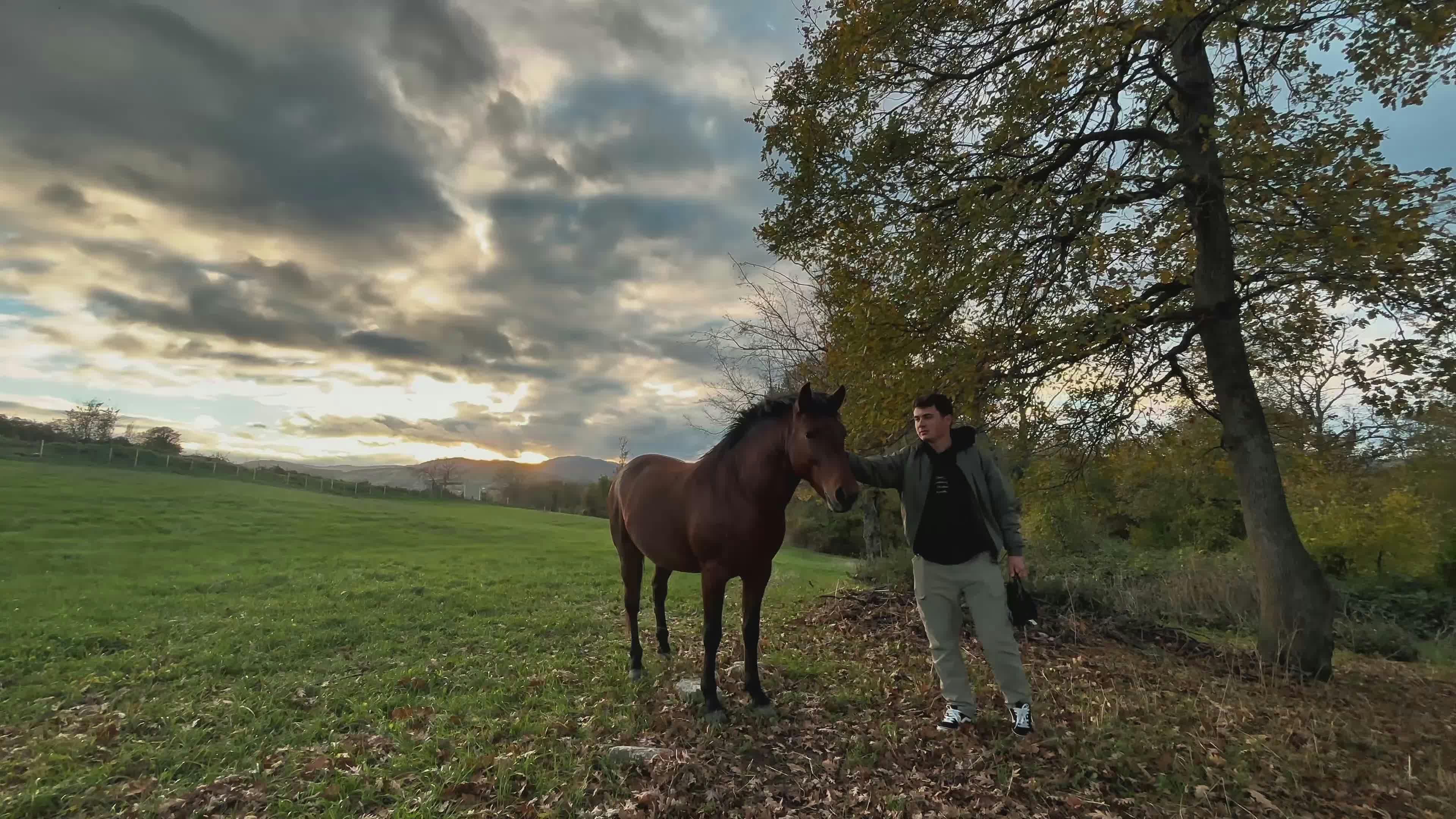 Horse Animation Videos, Download The BEST Free 4k Stock Video Footage ...