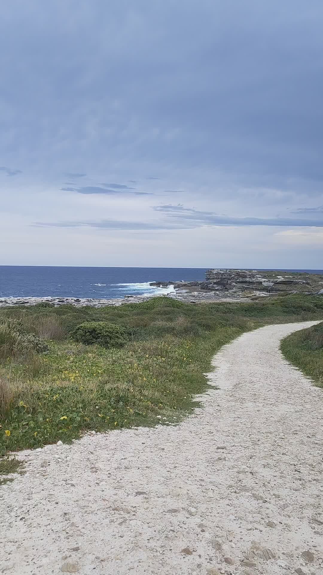 Serene Coastal Pathway Leading to Ocean Waves Free Stock Video Footage ...