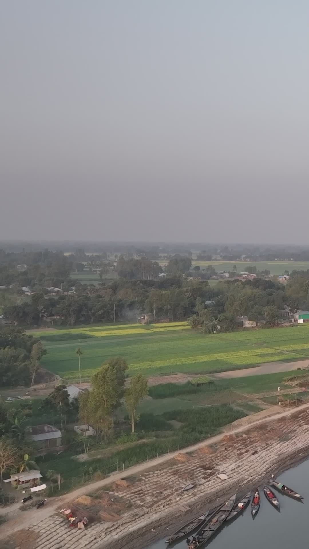 Beby De Bengal Videos, Download The BEST Free 4k Stock Video Footage ...
