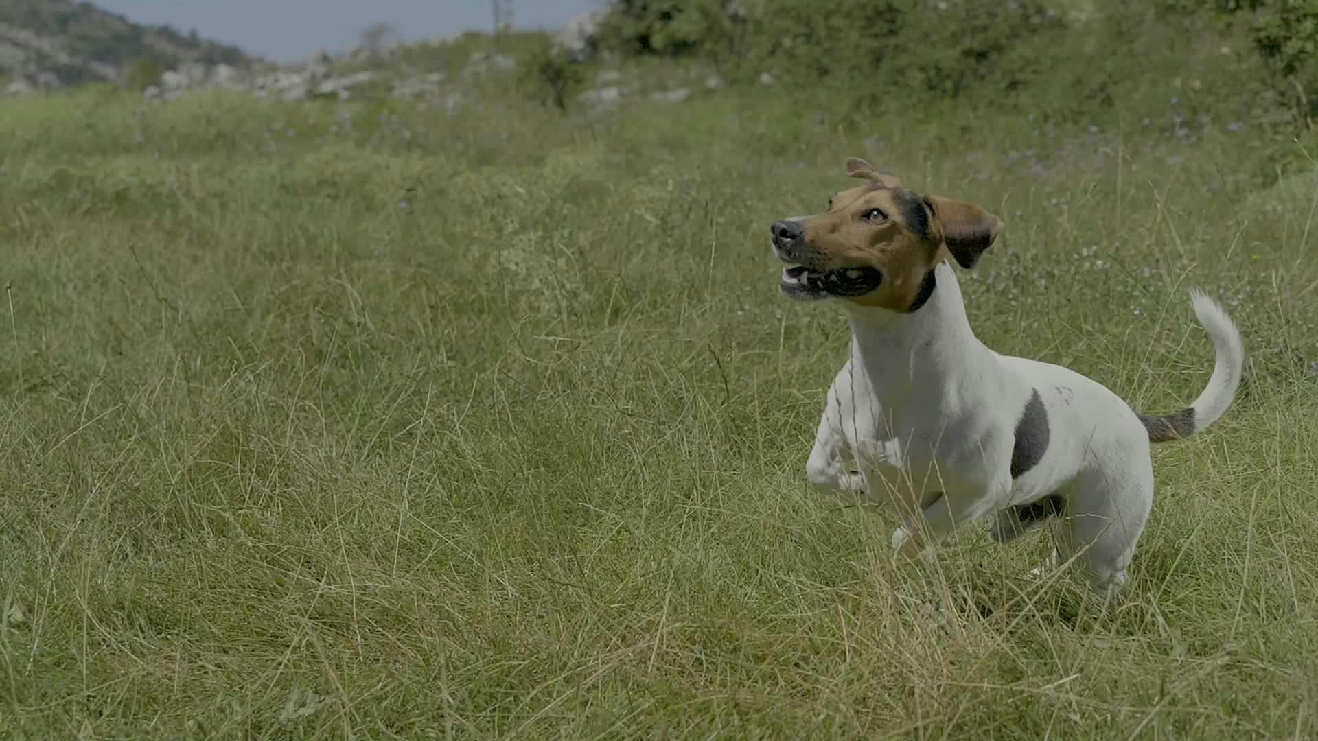 Teen+Boys+Jacking+Off Videos, Download The BEST Free 4k Stock Video ...