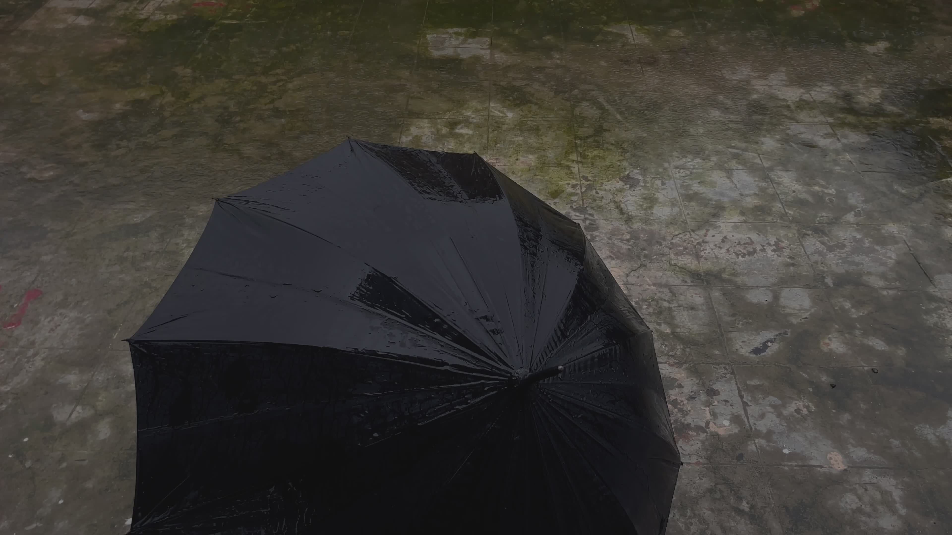 Rainy Day Videos Videos, Download The BEST Free 4k Stock Video Footage ...