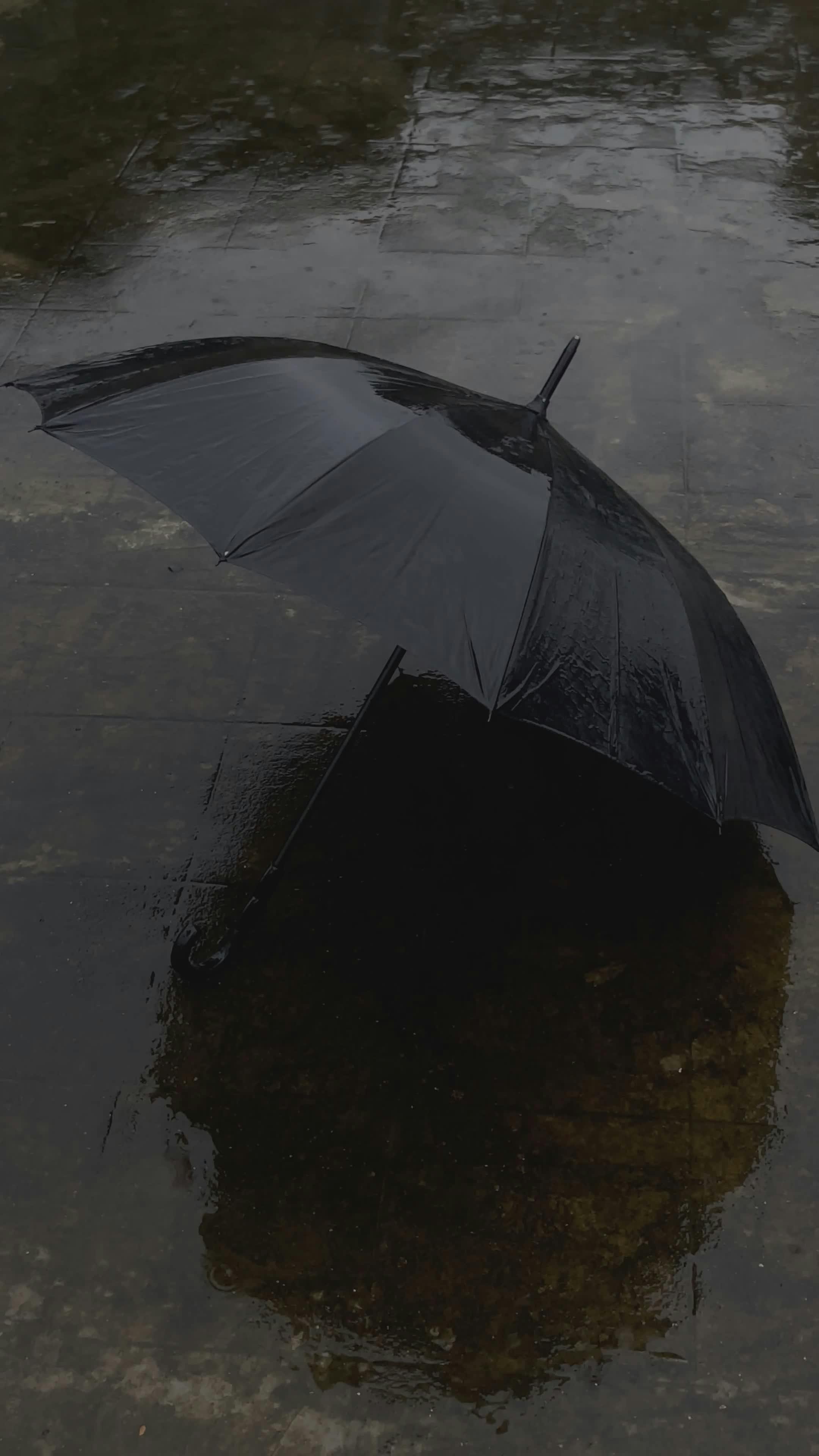 Aesthetic Videos Videos, Download The BEST Free 4k Stock Video Footage ...