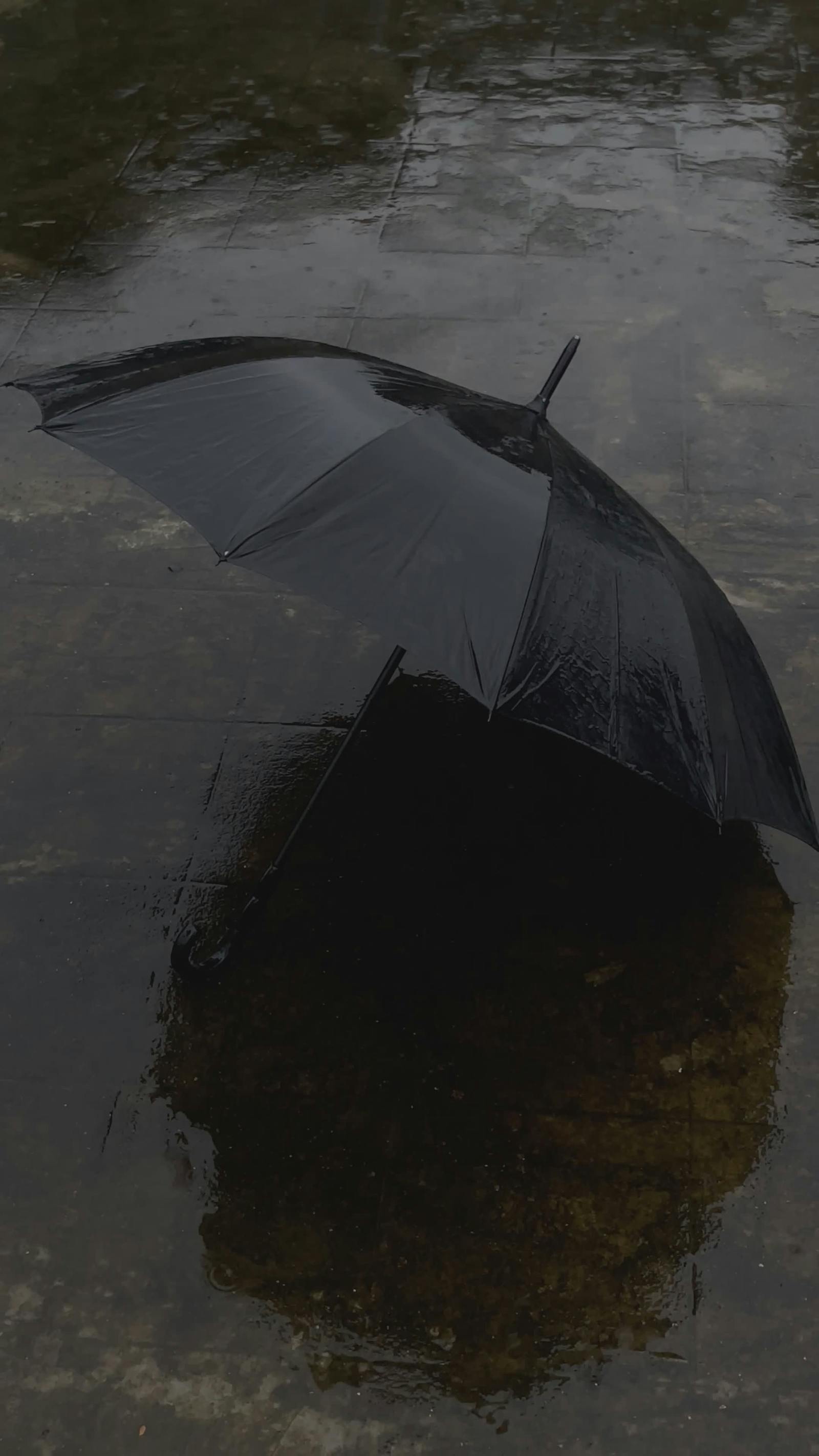 Aesthetic Videos Videos, Download The BEST Free 4k Stock Video Footage ...