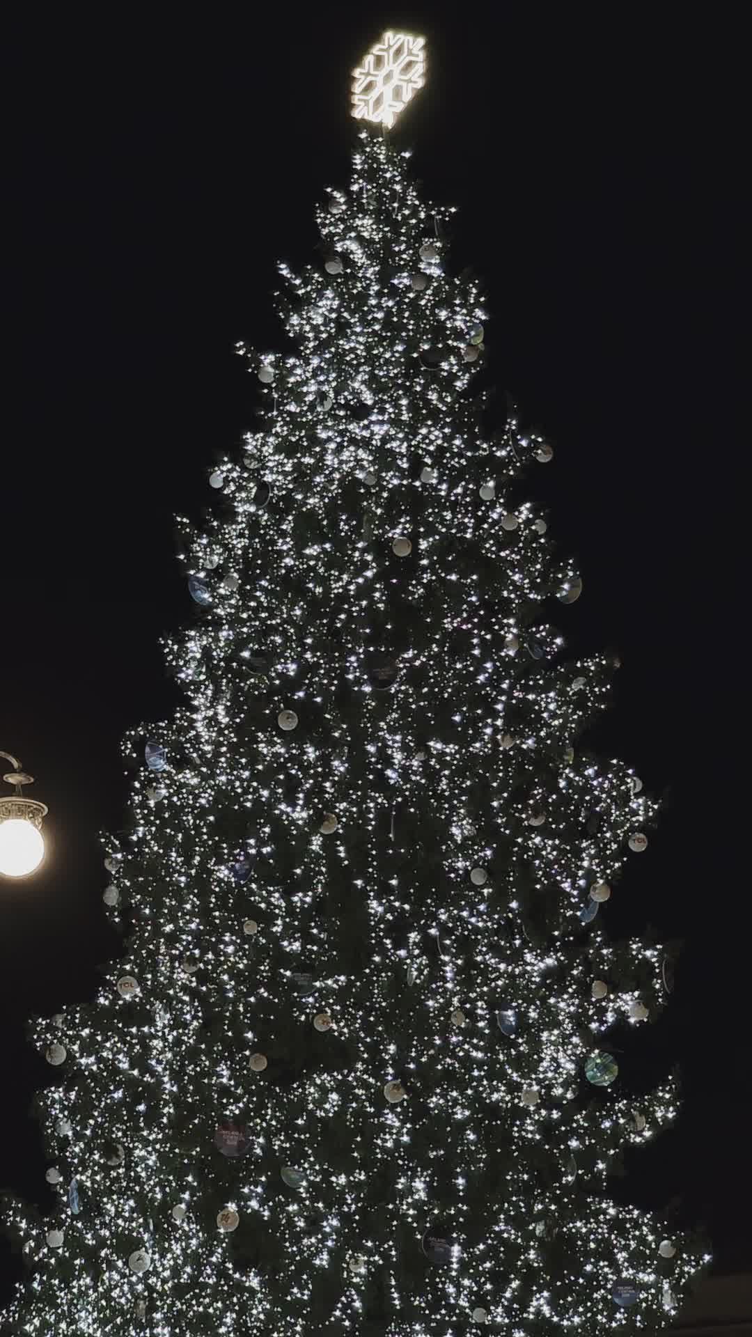Enchanting Christmas Tree With Bright Lights Free Stock Video Footage ...