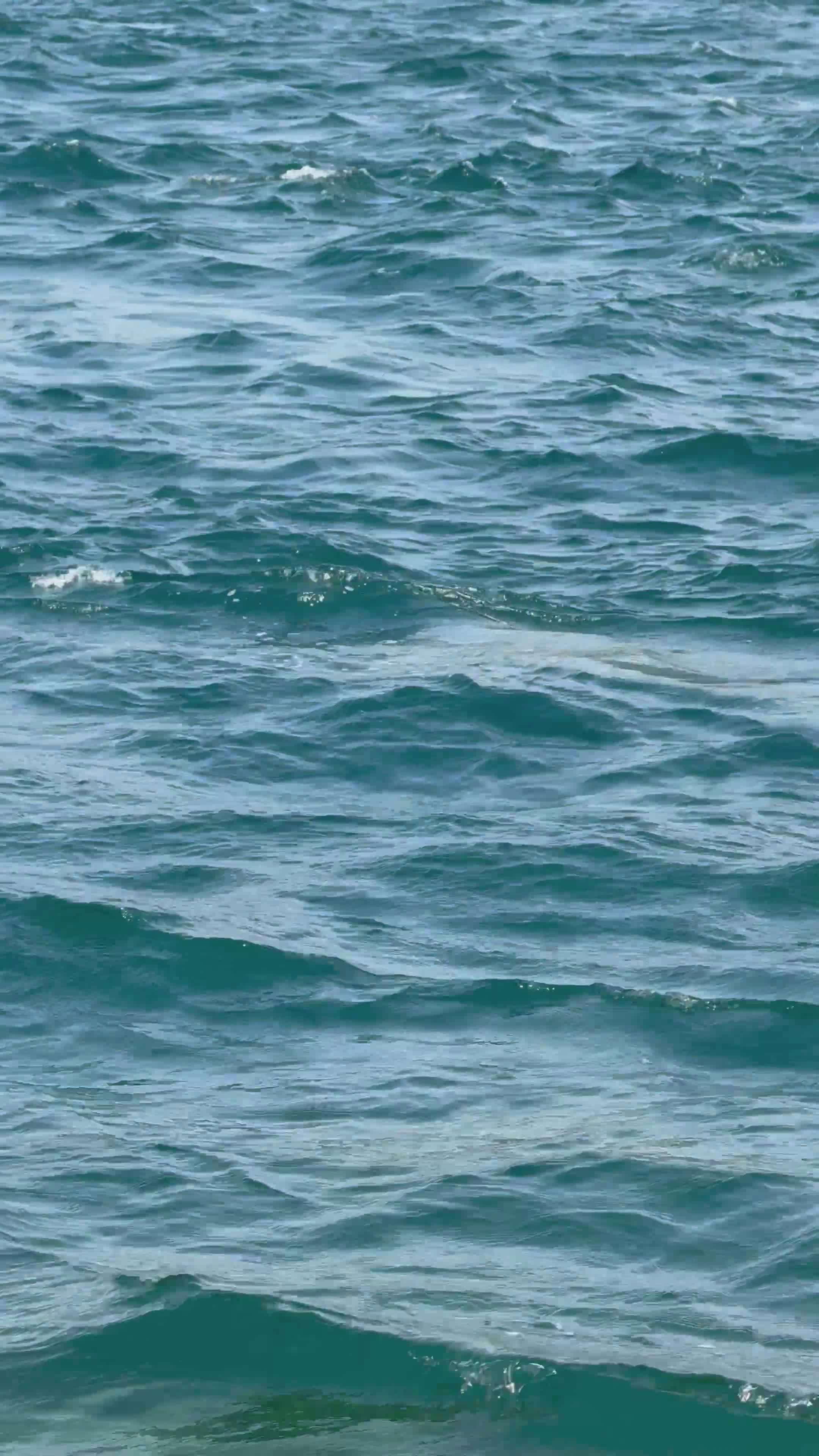 Deep+Kissing+Brazilian Videos, Download The BEST Free 4k Stock Video ...