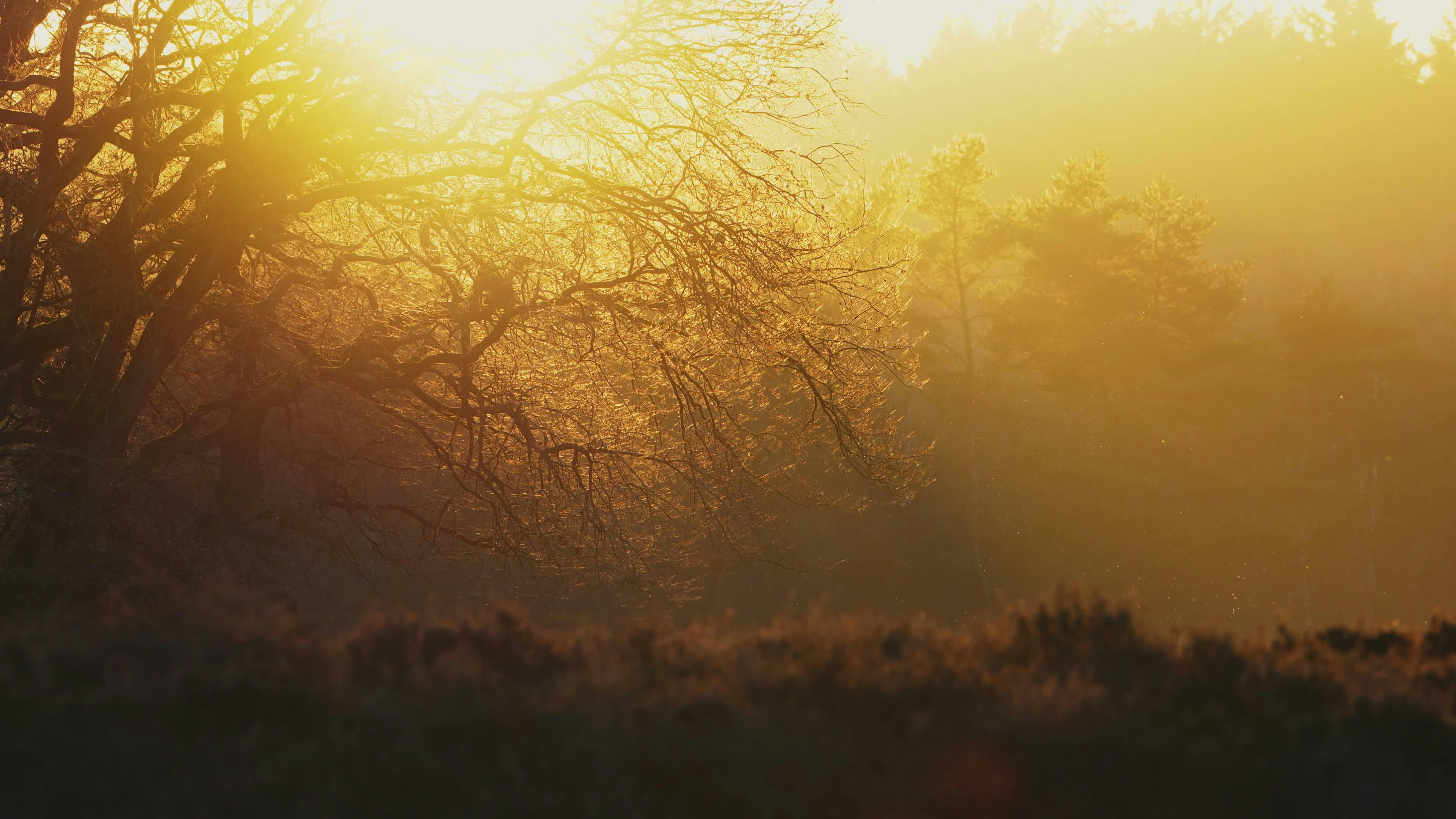 Kissing+While+Taking+Your+Clothes+Off Videos, Download The BEST Free 4k ...