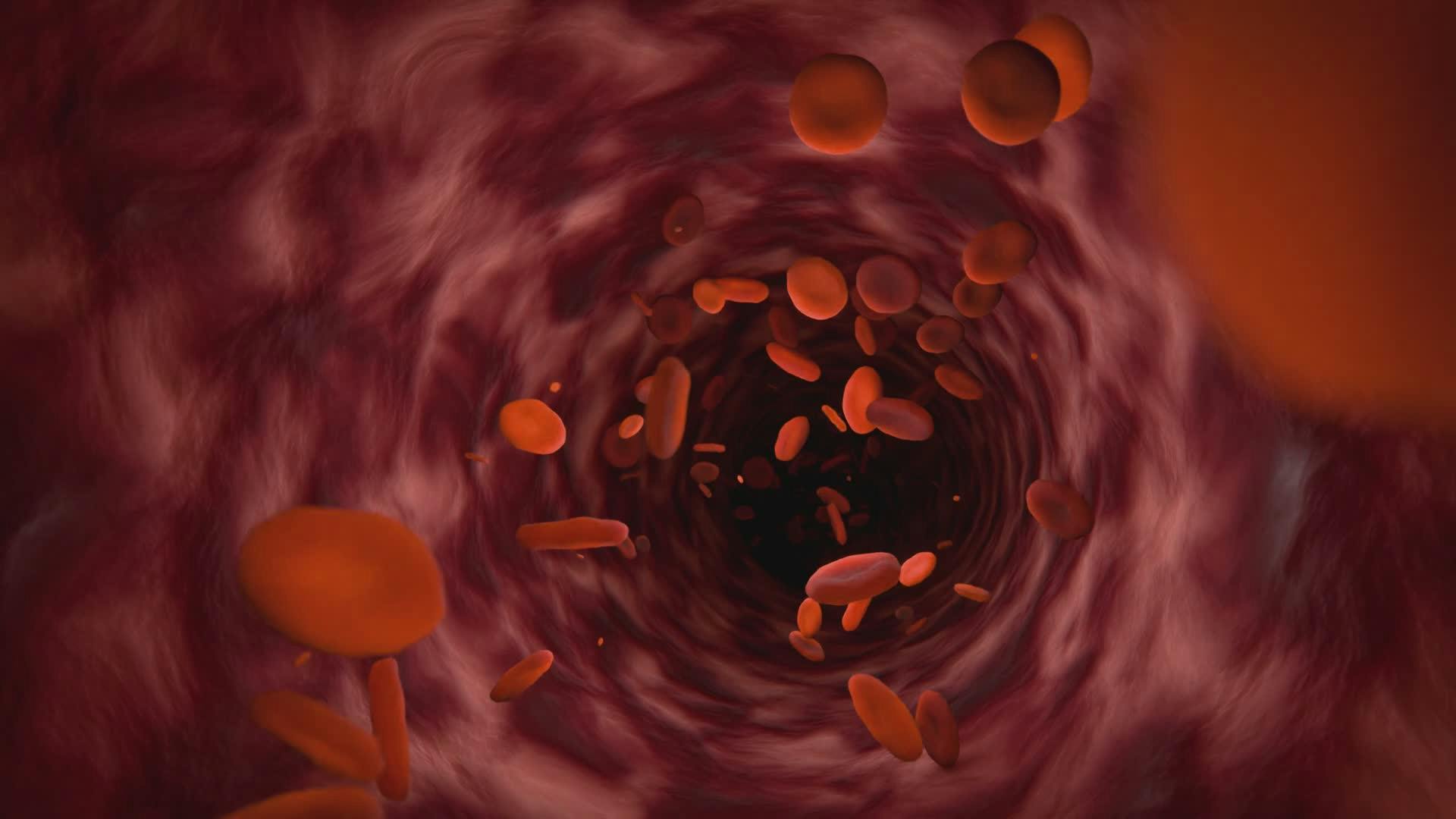 Dynamic Animation of Red Blood Cells Free Stock Video Footage, Royalty ...