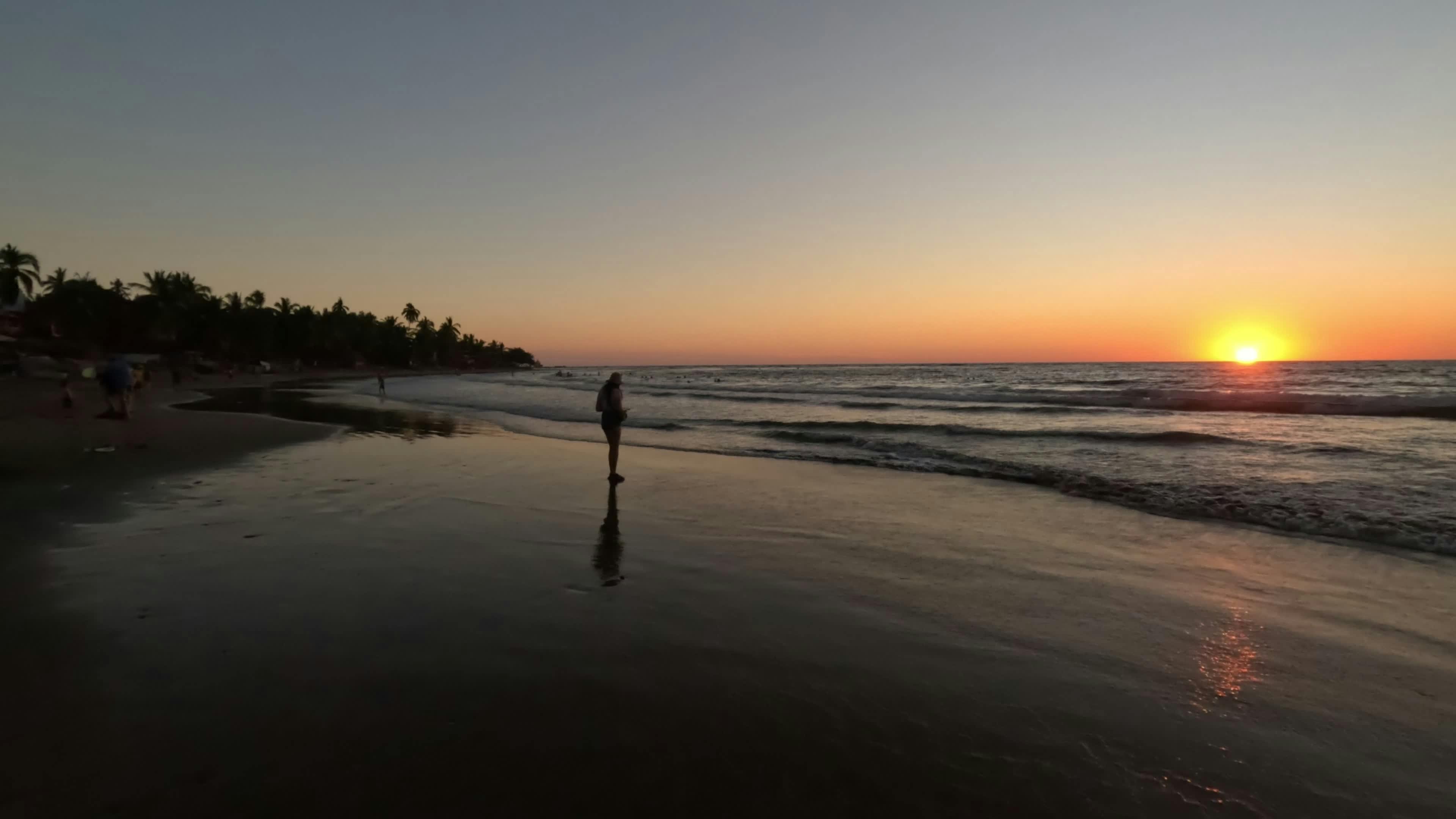 Vídeo profissional gratuito de à beira mar, américa do norte, andar, ao ...