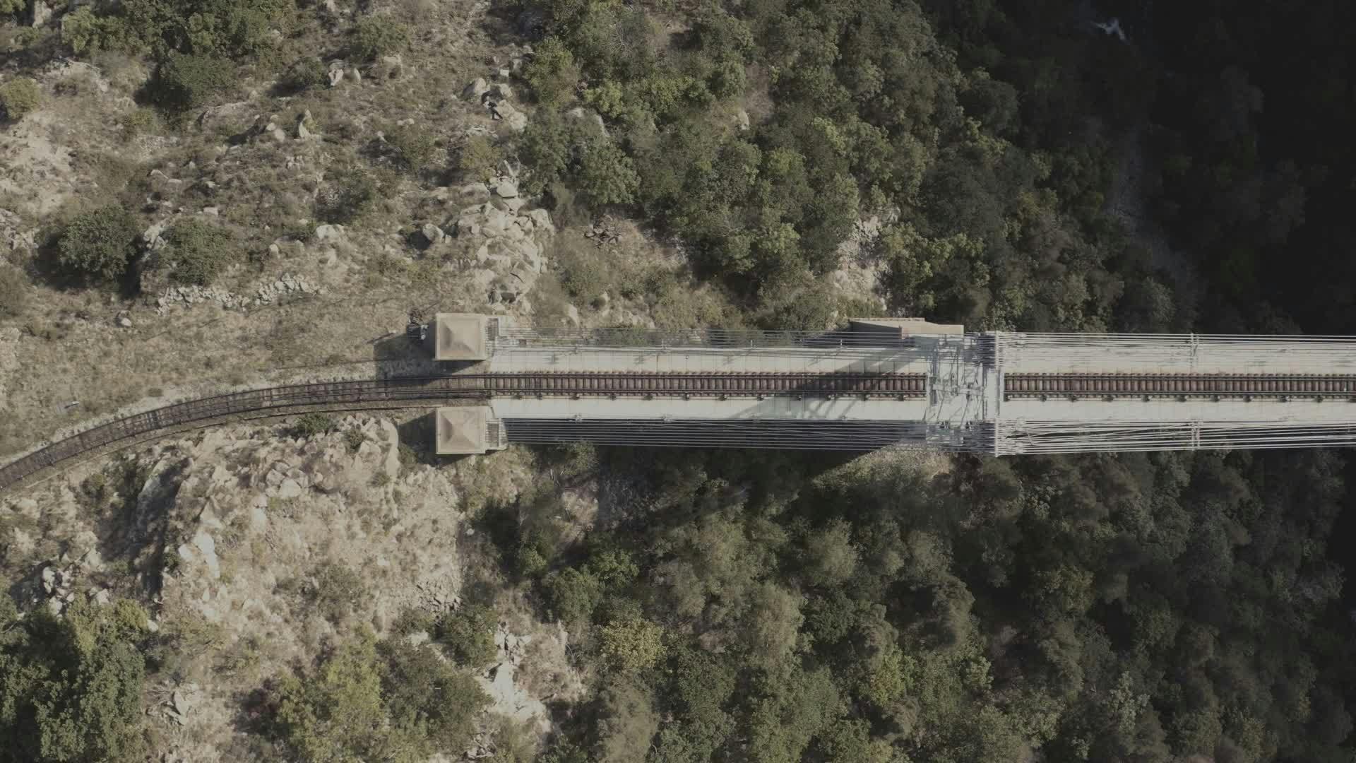 Clip+Hunters+Video Videos, Download The BEST Free 4k Stock Video ...