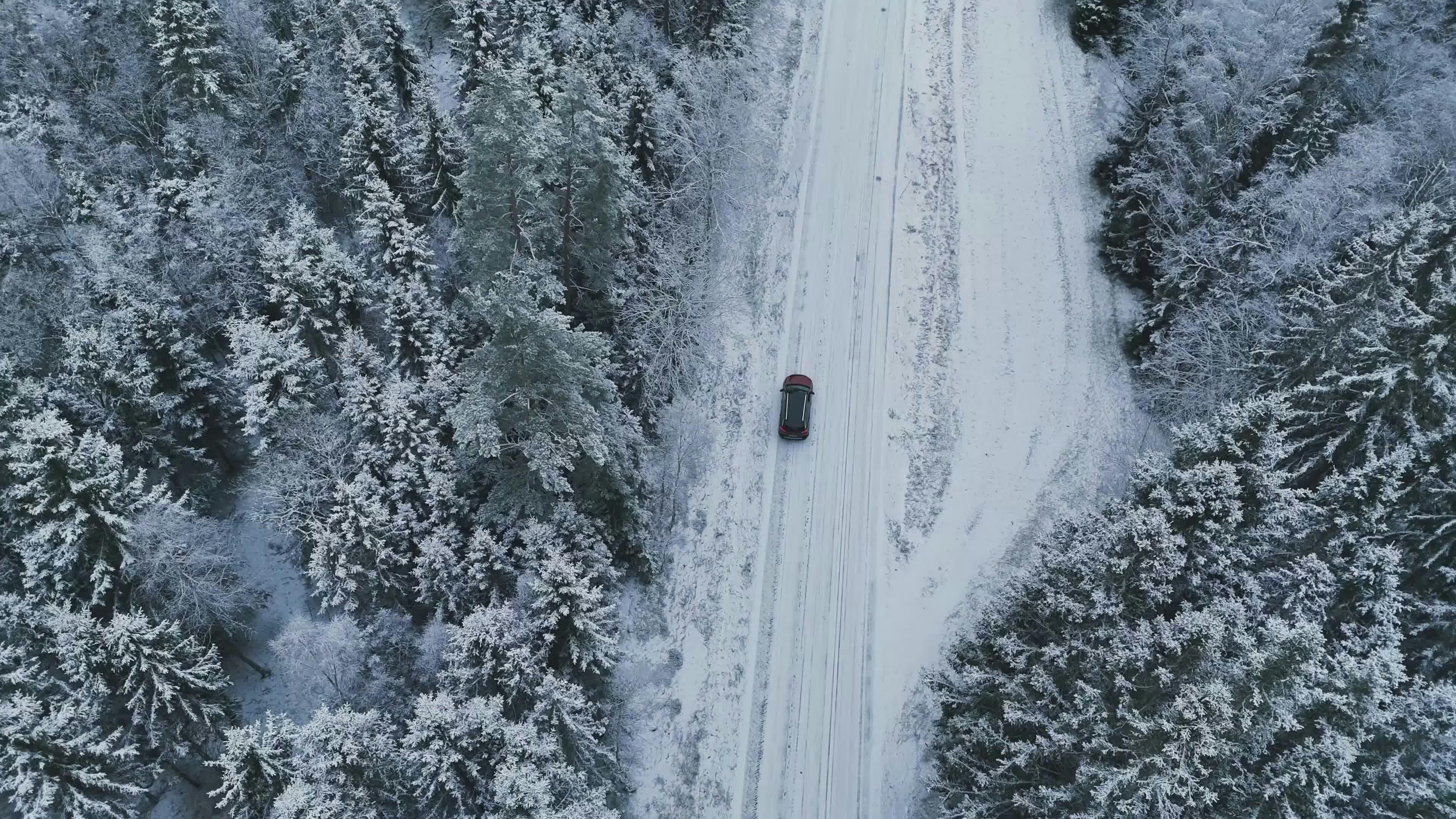 Vimeo+Mini+Micro+Bikini Videos, Download The BEST Free 4k Stock Video ...