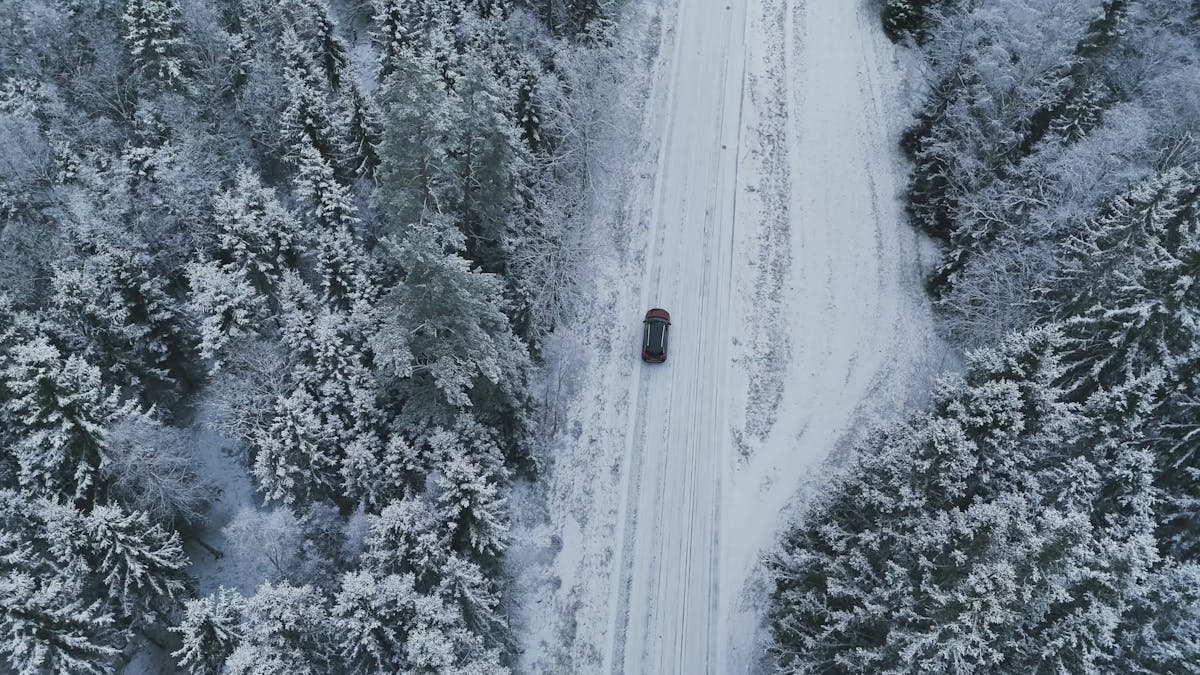 Thick+Light+Skin+Back+Shots Videos, Download The BEST Free 4k Stock ...