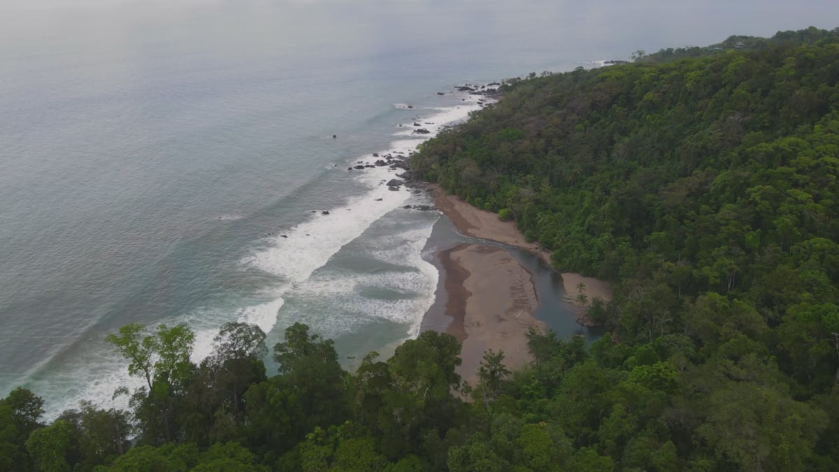 Ss+Nita+Summer+Dress+Mp4 Videos, Download The BEST Free 4k Stock Video ...