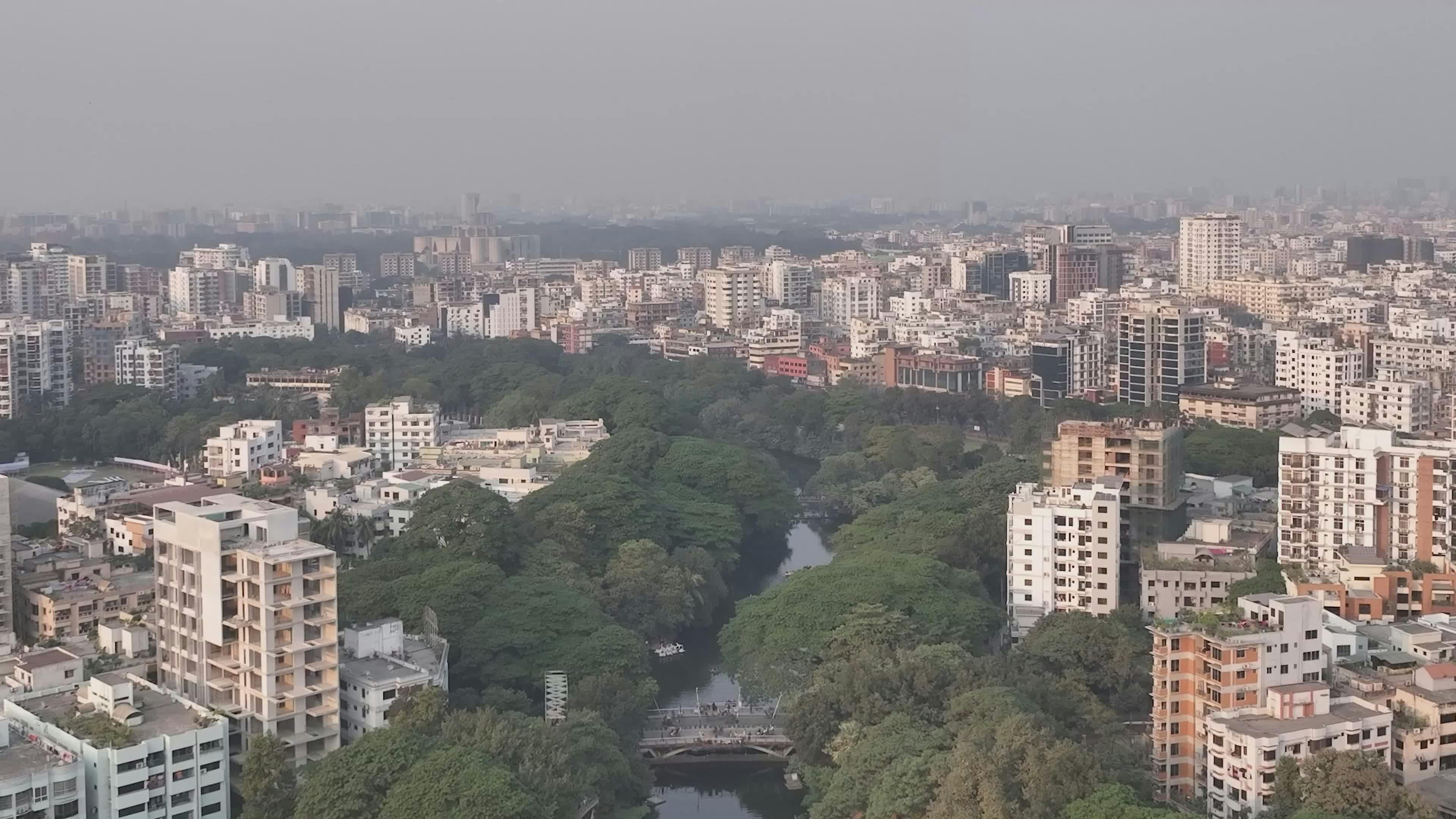 Hd ปลากัด Videos, Download The BEST Free 4k Stock Video Footage & Hd ...