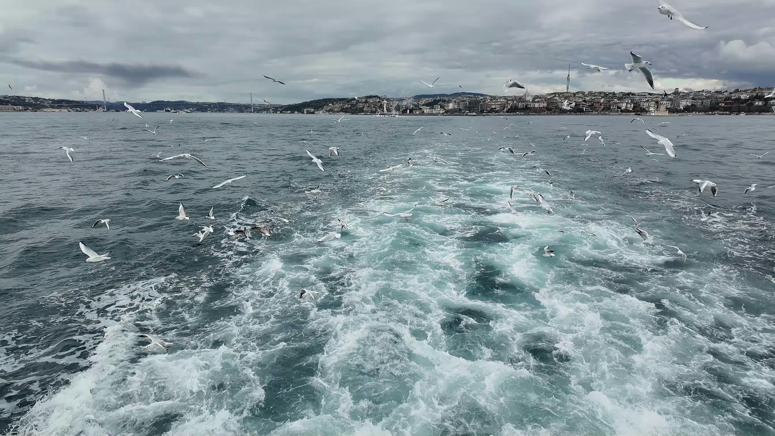 Dynamic Bosphorus Strait Water View Free Stock Video Footage, Royalty ...