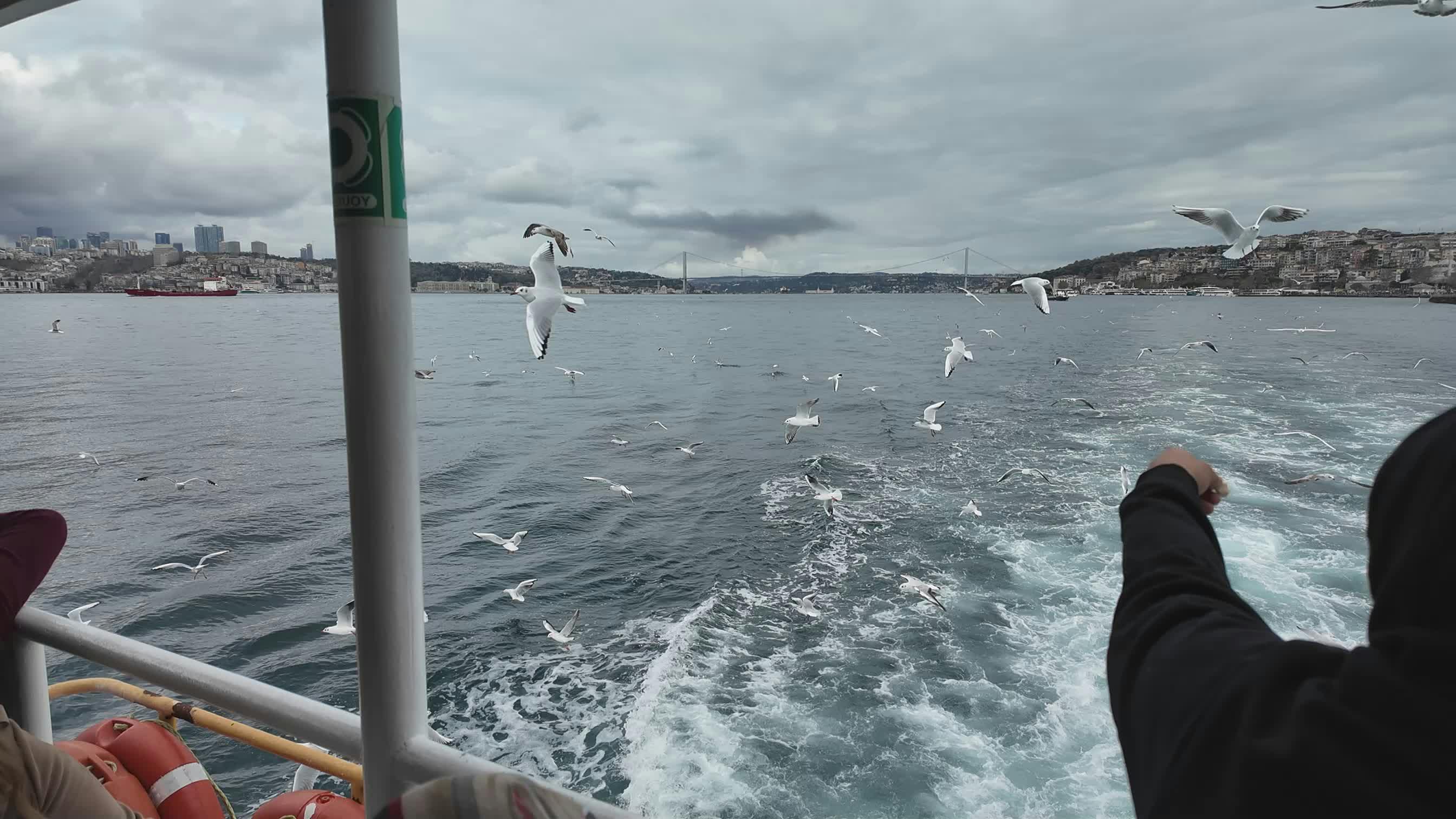 Scenic Bosphorus Strait Ferry Journey Free Stock Video Footage, Royalty ...