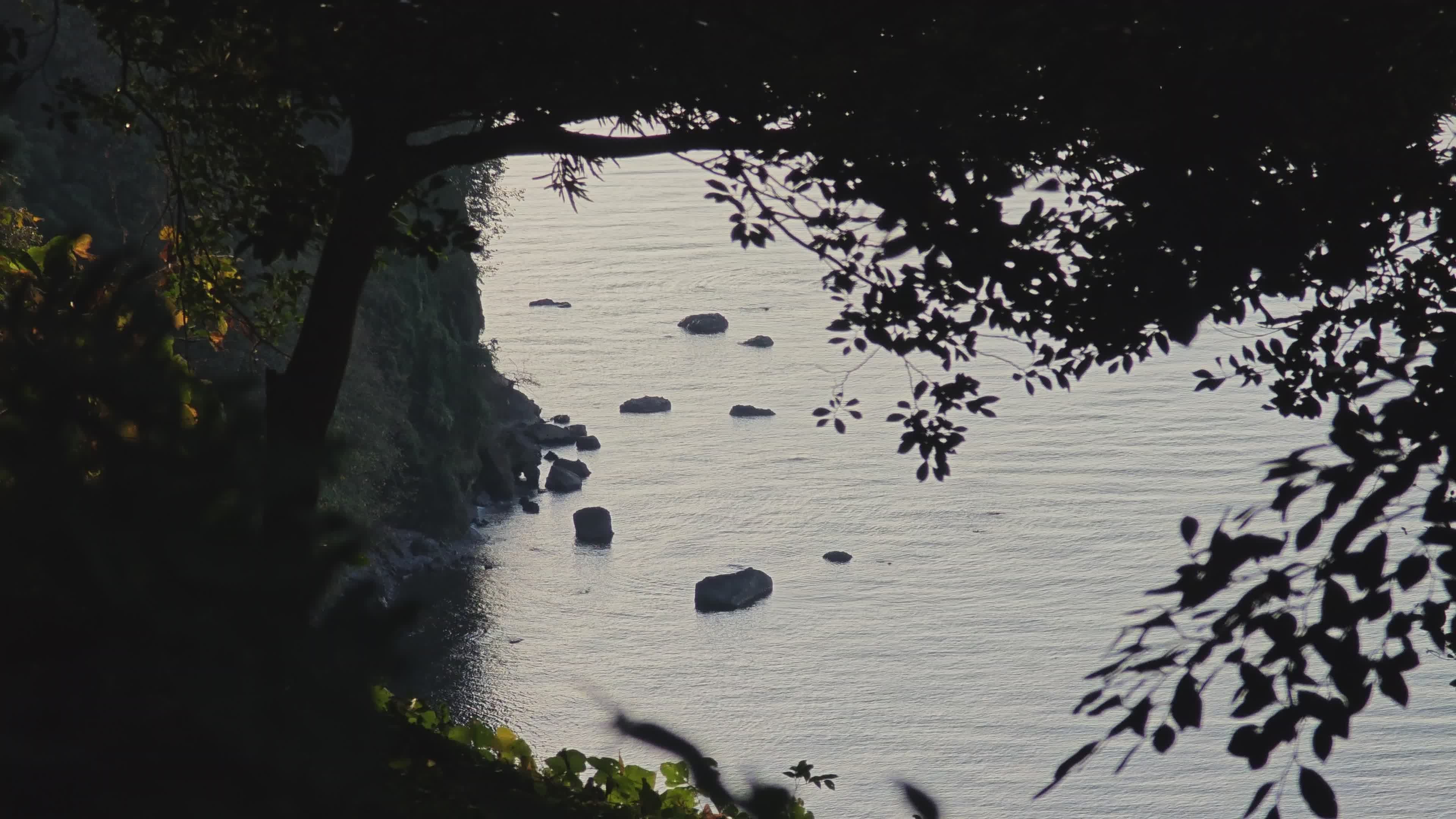 Scenic Coastal Cliff with Overhanging Trees Free Stock Video Footage ...