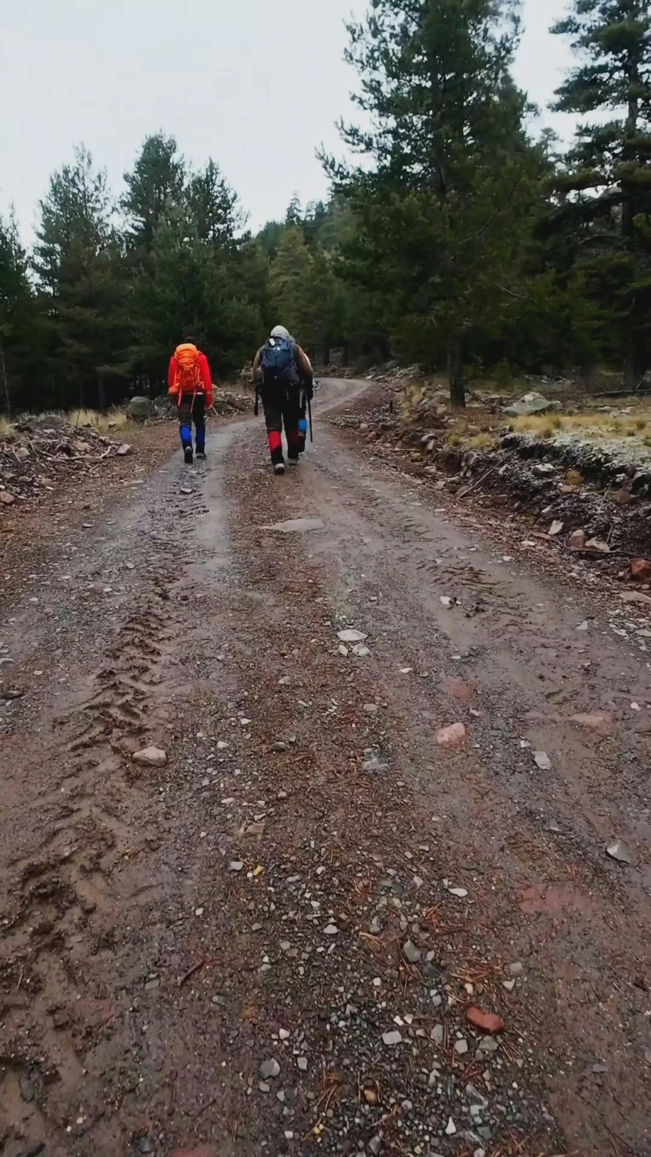 Older+Couples+Missionary+Position Videos, Download The BEST Free 4k ...