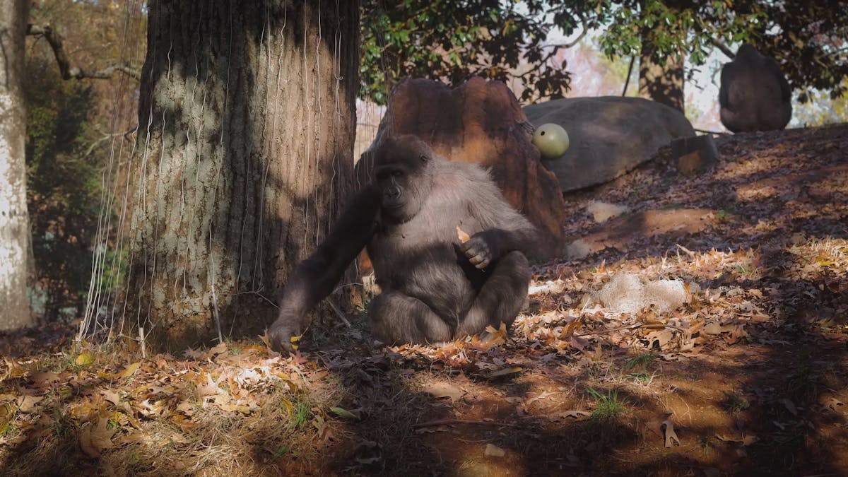 Videos+Of+Male+And+Female+Having+Sexual+Intercourse Videos, Download ...