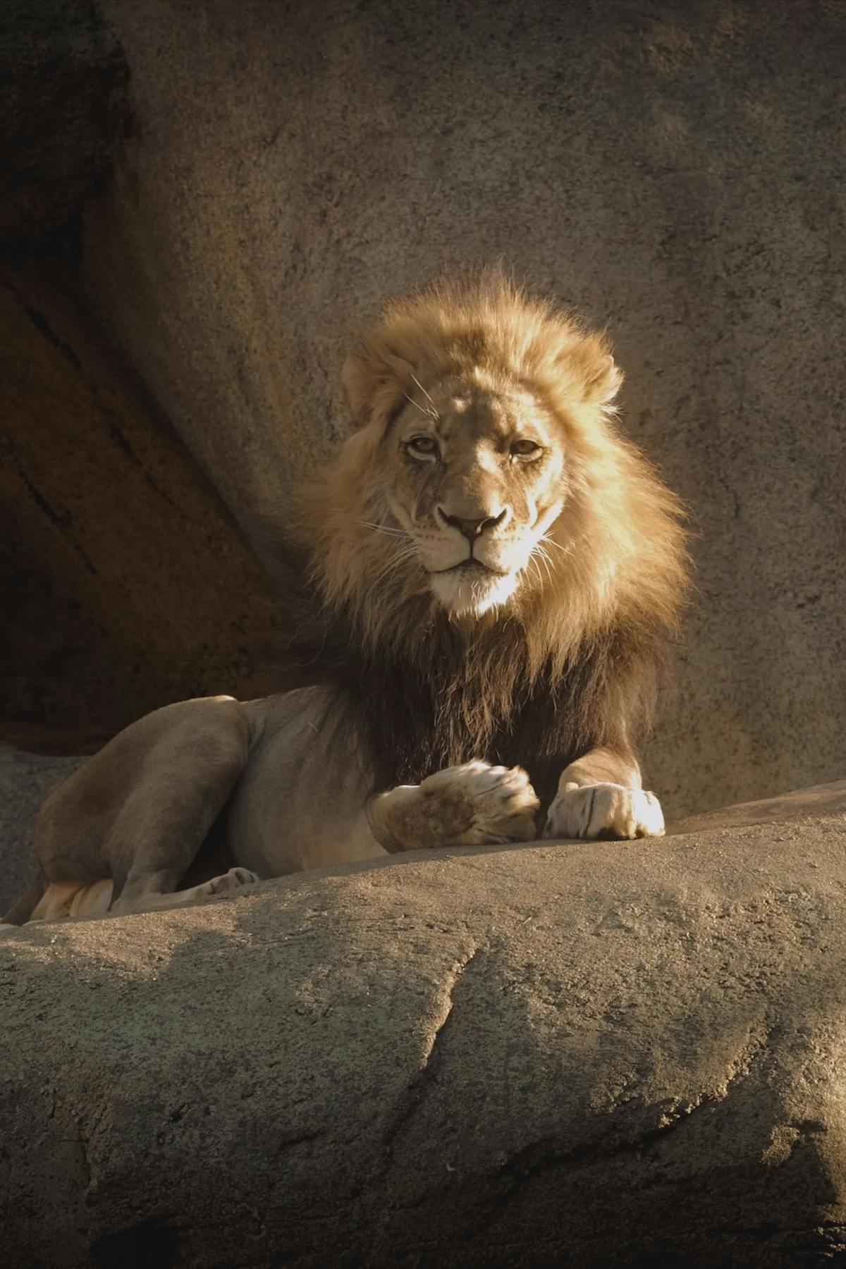 Sexy+Girl+With+Big+Boobies Videos, Download The BEST Free 4k Stock ...