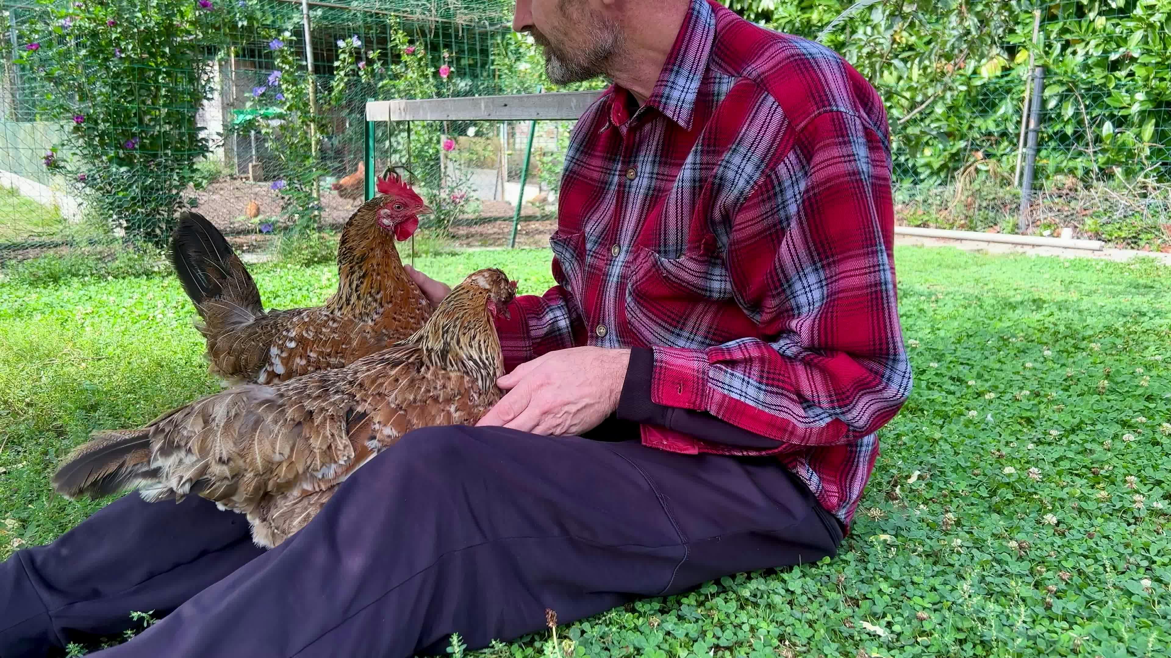 Youtube+视频下载 Videos, Download The BEST Free 4k Stock Video Footage ...