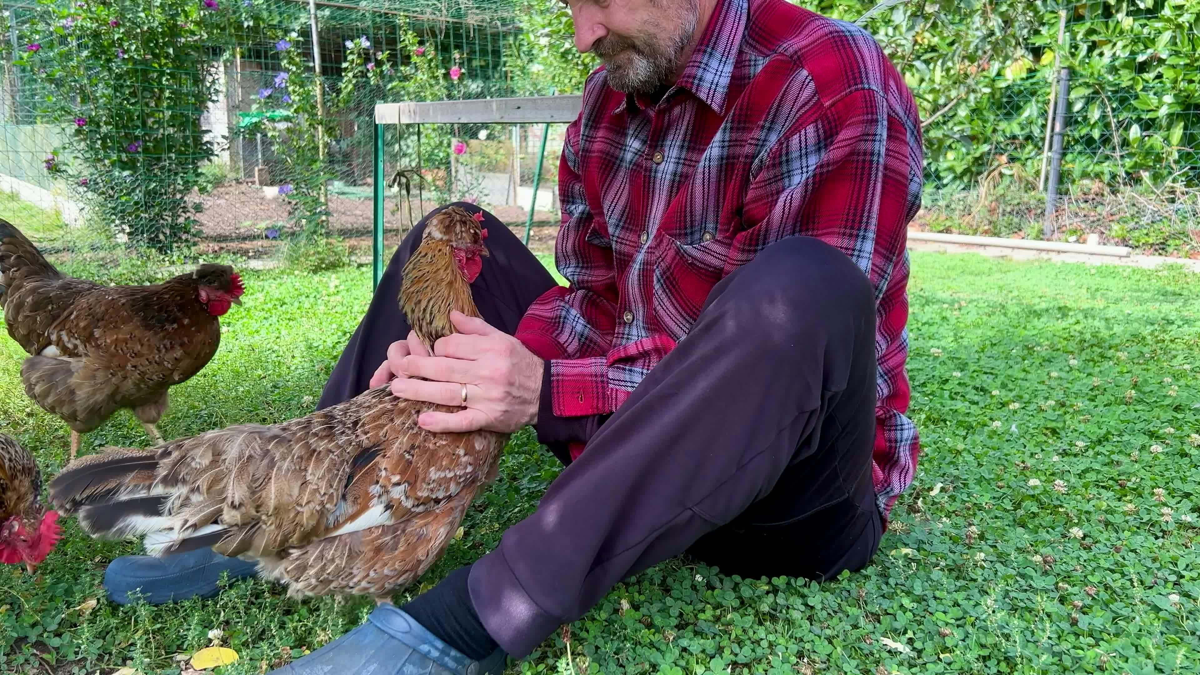 Youtube+] O Videos, Download The BEST Free 4k Stock Video Footage ...