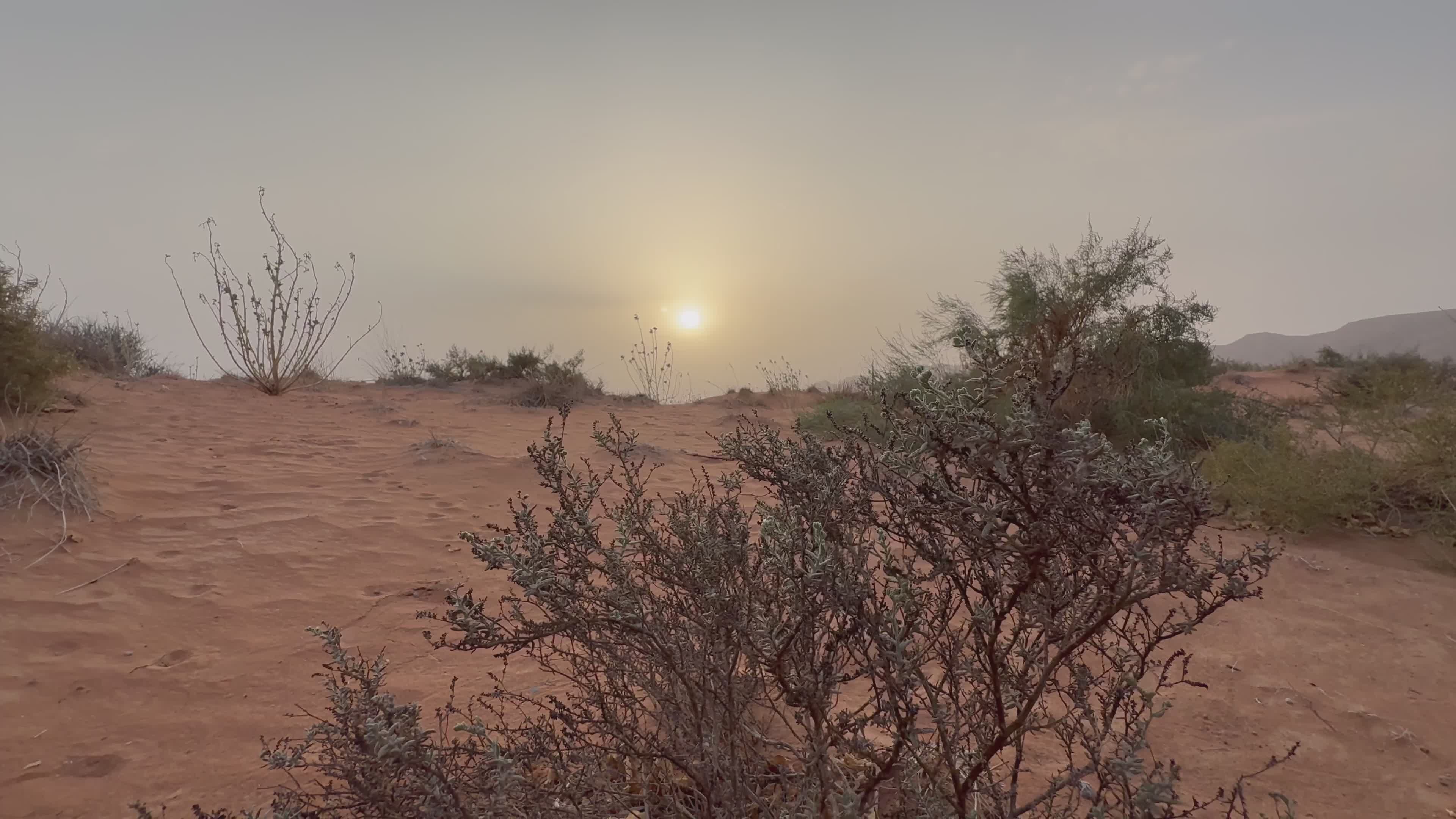Desert Sunrise Over Sandy Landscape Free Stock Video Footage, Royalty ...