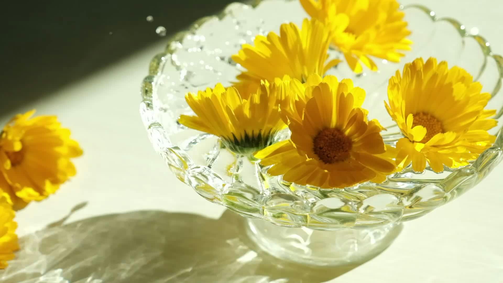 Step+Brother+And+Step+Sister+Home+Alone Videos, Download The BEST Free ...