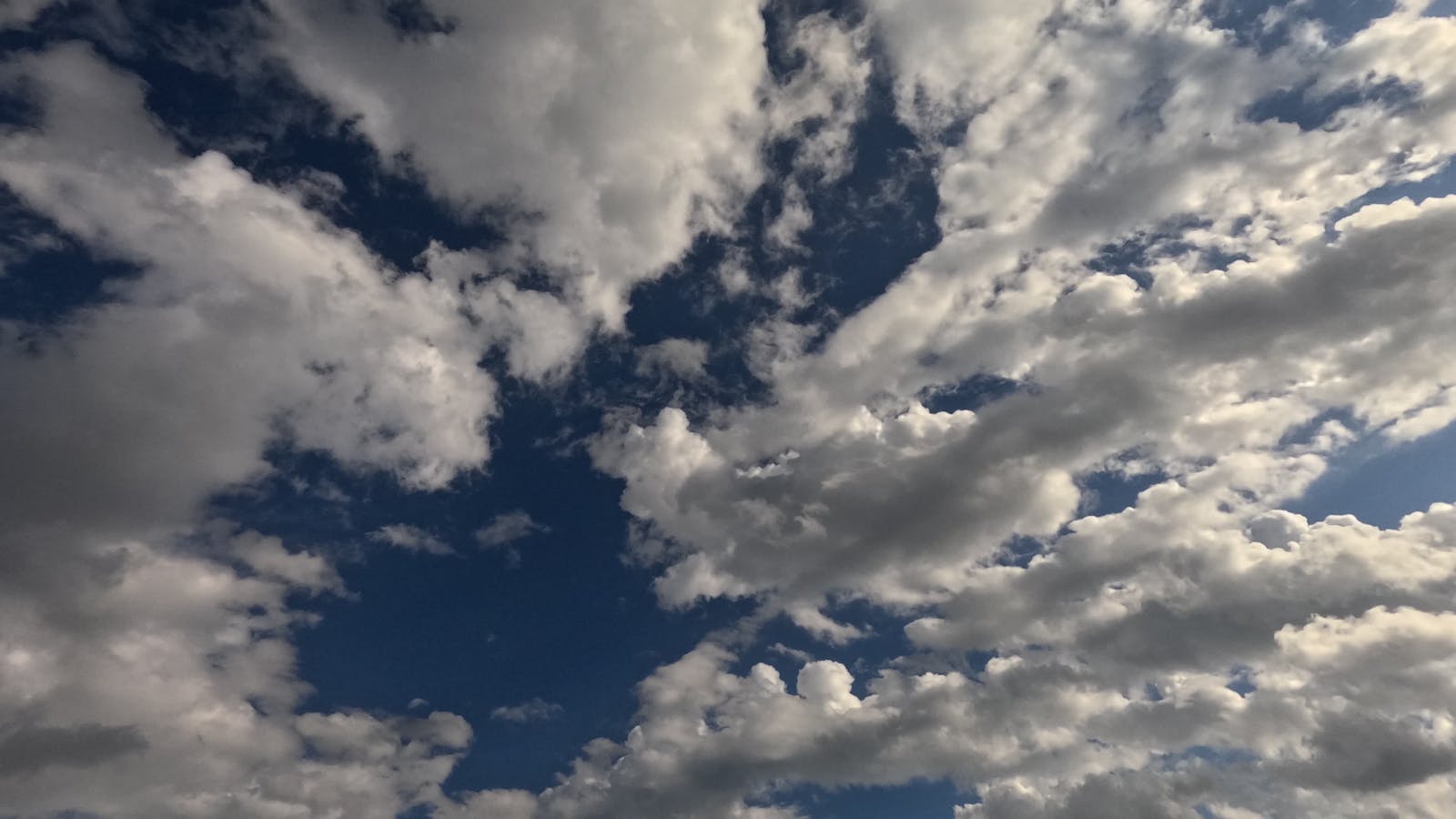 Ppt Backgrounds Videos, Download The BEST Free 4k Stock Video Footage ...