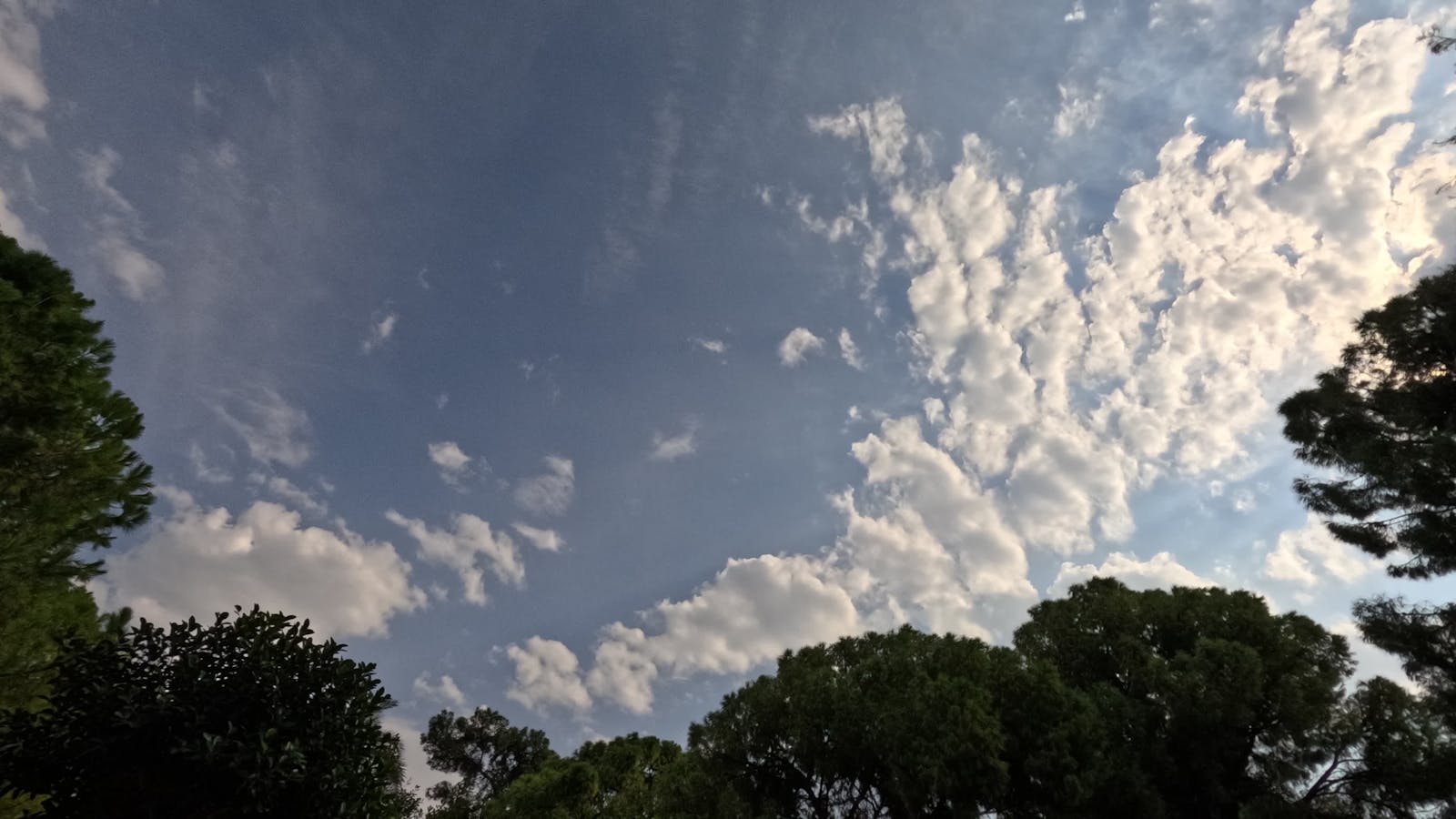 Ppt Backgrounds Videos, Download The BEST Free 4k Stock Video Footage ...