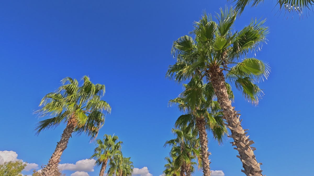 Beach+Cabin+Spy Videos, Download The BEST Free 4k Stock Video Footage ...