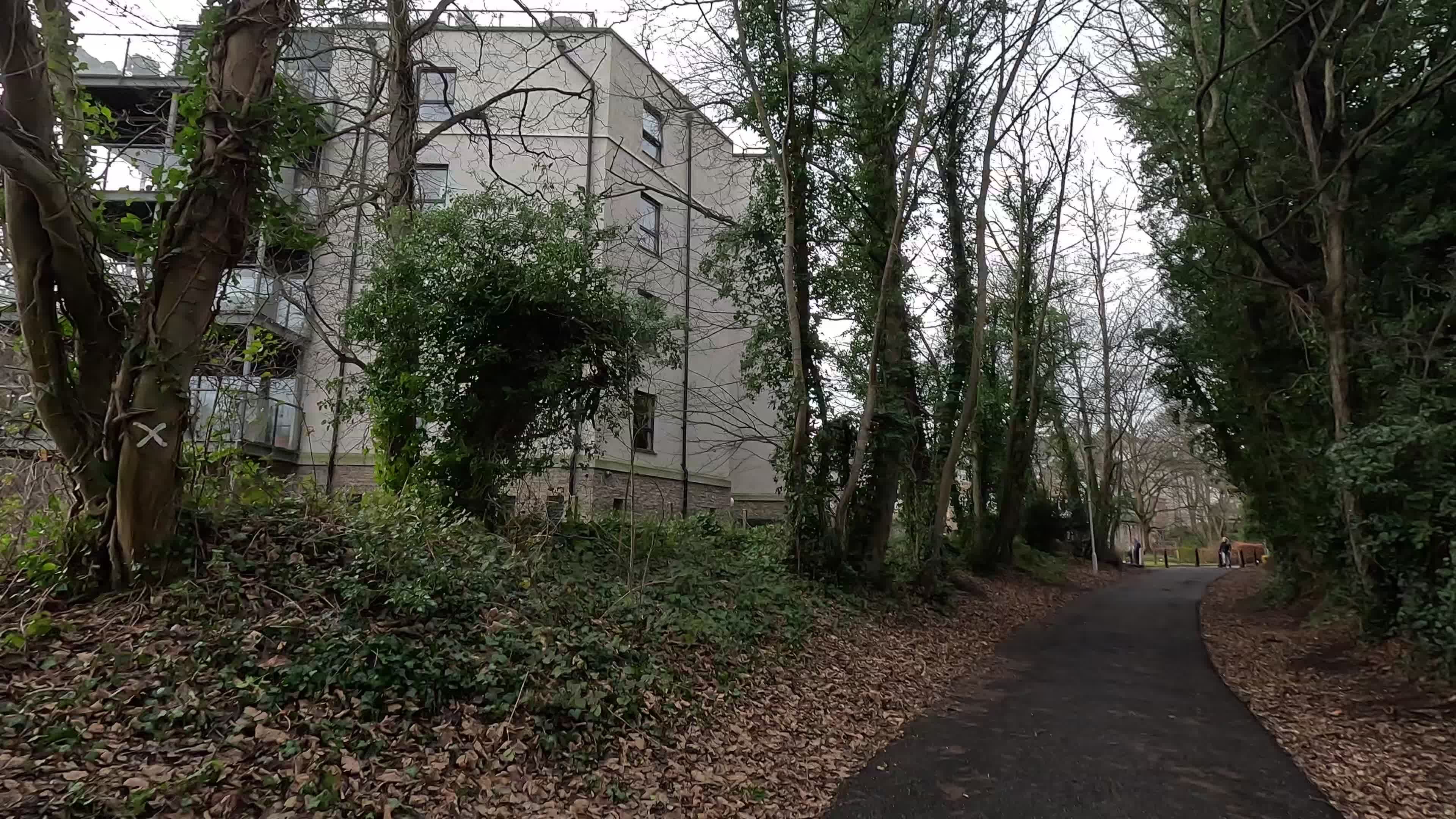 Scenic Urban Jogging Path Through Forested Area Free Stock Video ...