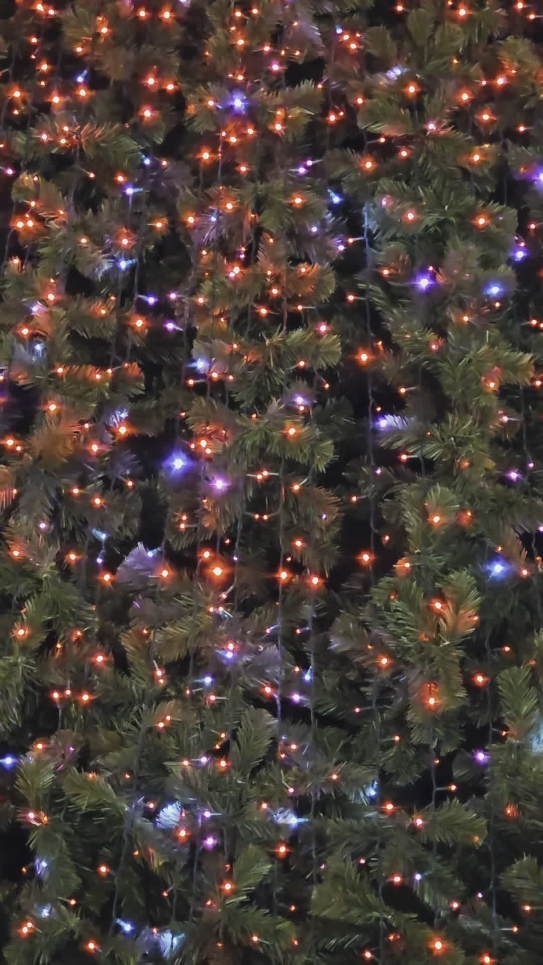Twinkling Christmas Tree Lights Display Free Stock Video Footage ...