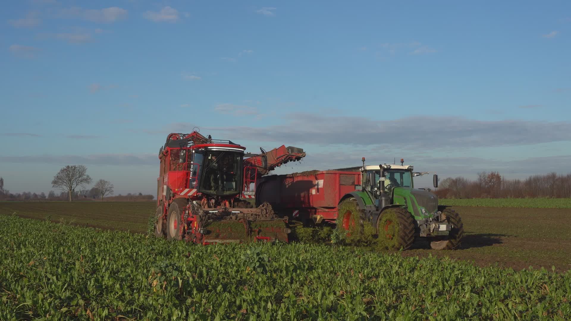 Efficient Beet Harvesting in German Farmland Free Stock Video Footage ...