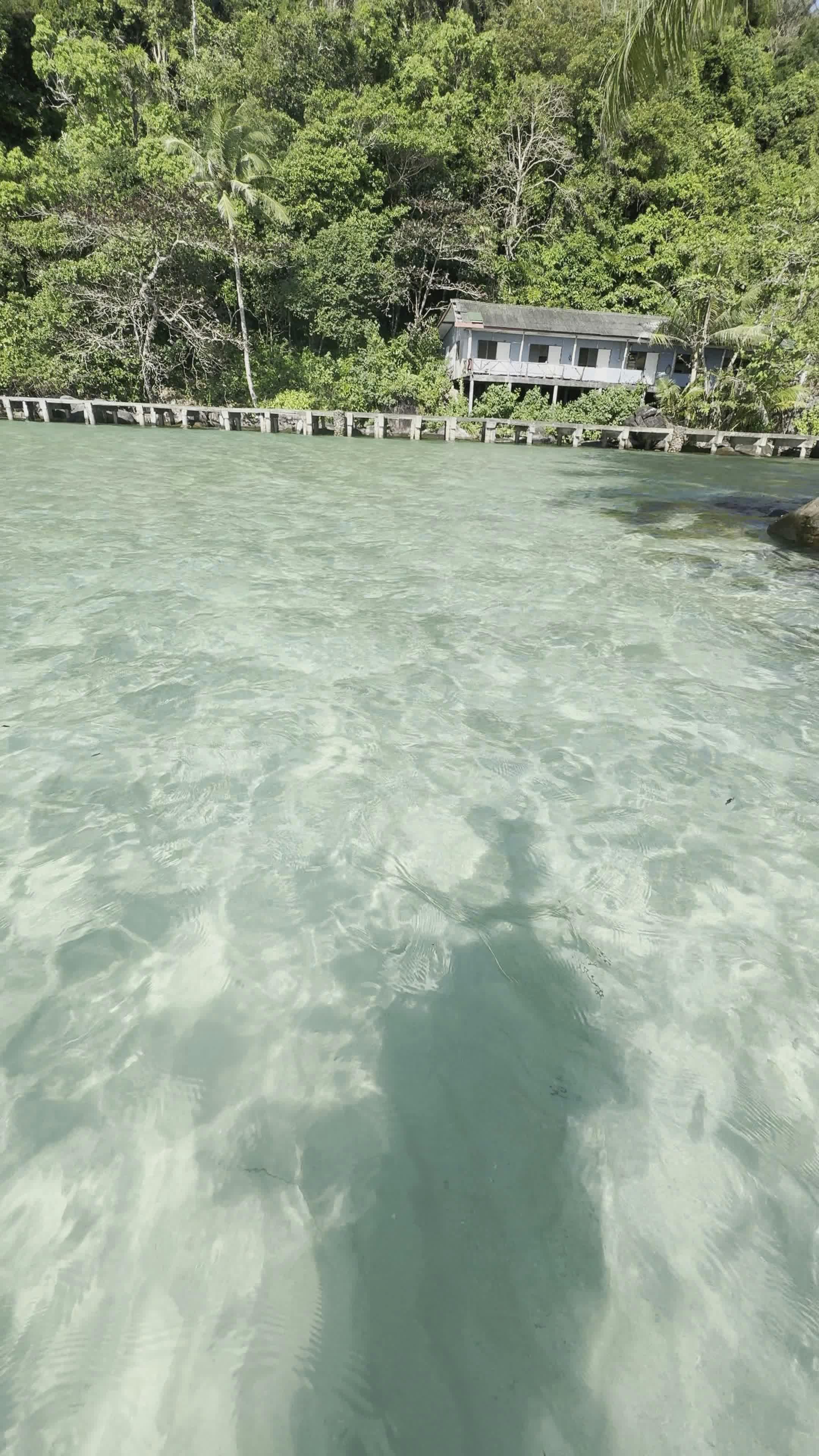 Scenic Beachside View with Clear Water Free Stock Video Footage ...