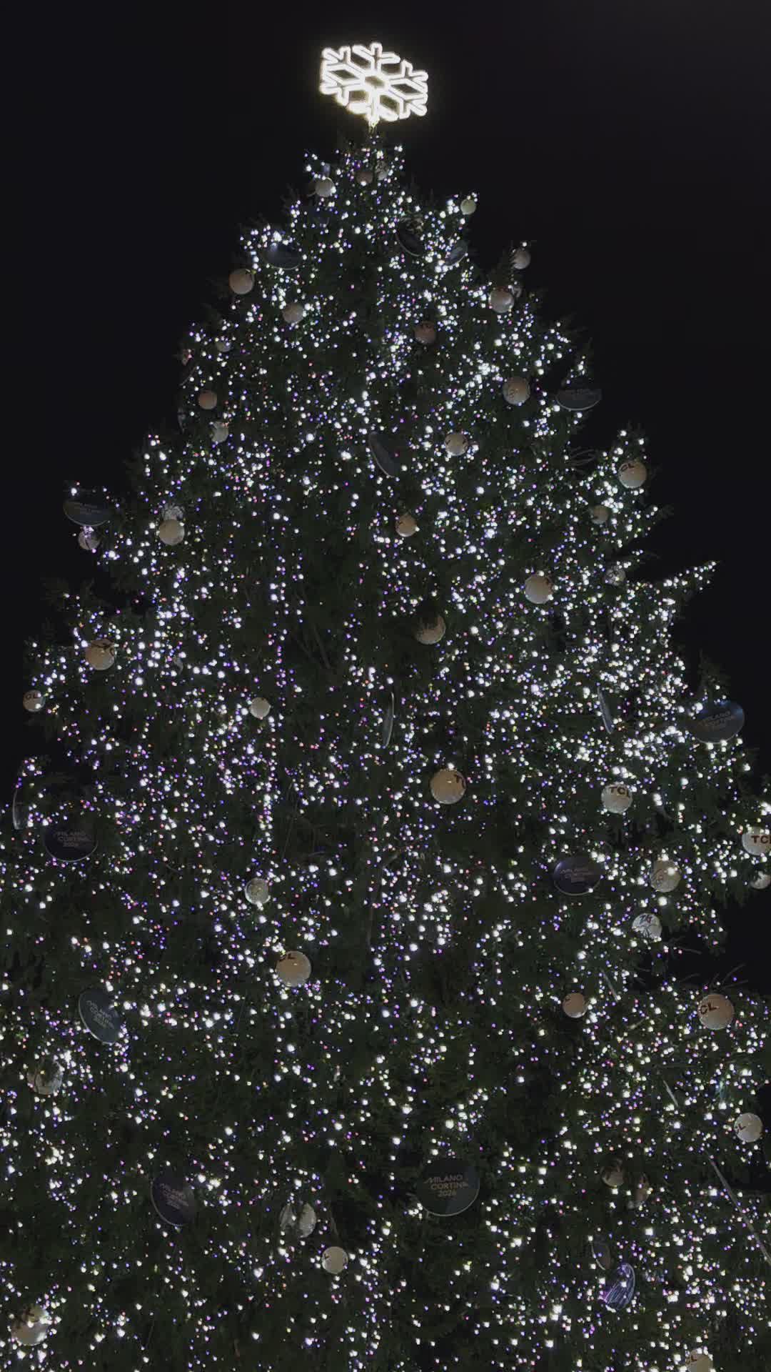 Sparkling Christmas Tree with Holiday Lights Free Stock Video Footage ...