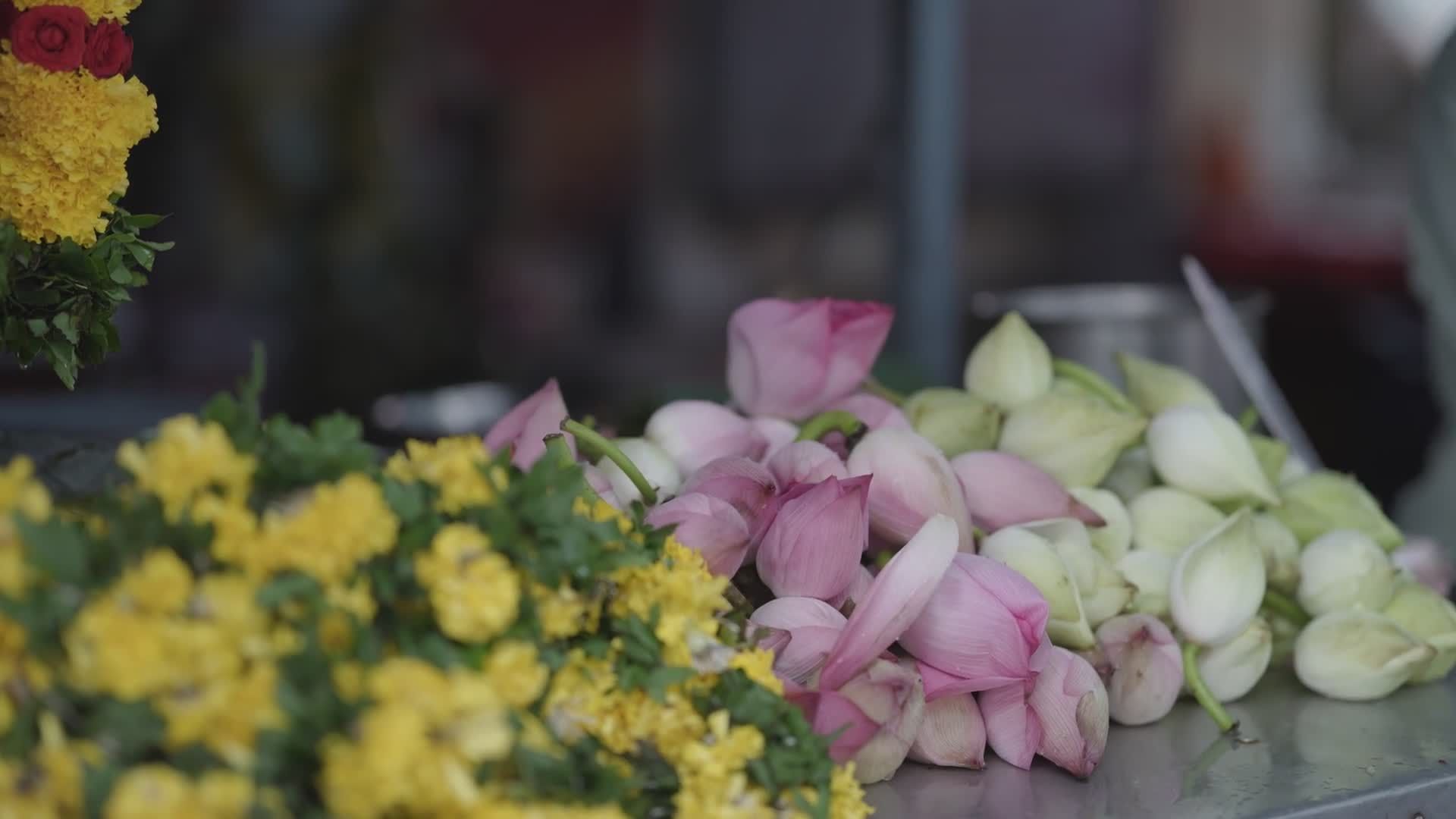 Vibrant Floral Display at Outdoor Flower Market Free Stock Video ...