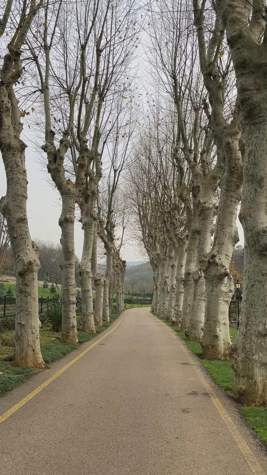 Bare+Breasts+Bouncing Videos, Download The BEST Free 4k Stock Video ...